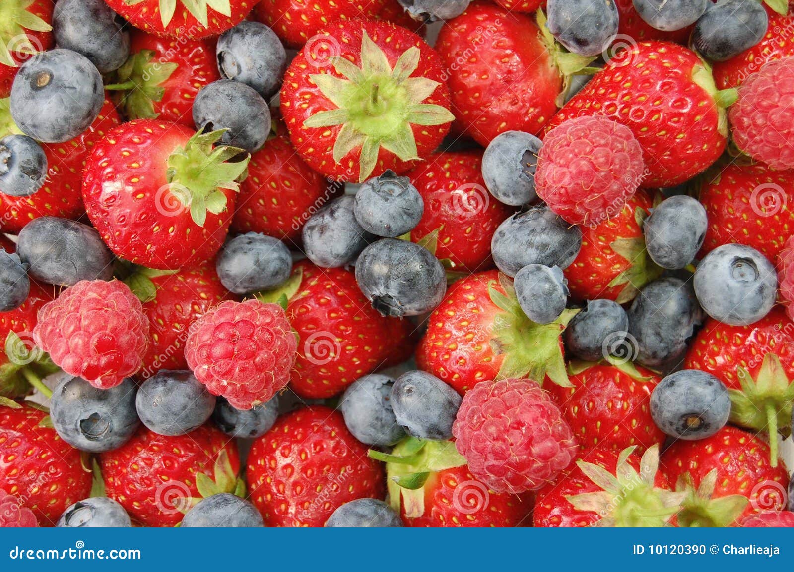 Mixed berries stock photo. Image of raspberry, spring - 10120390