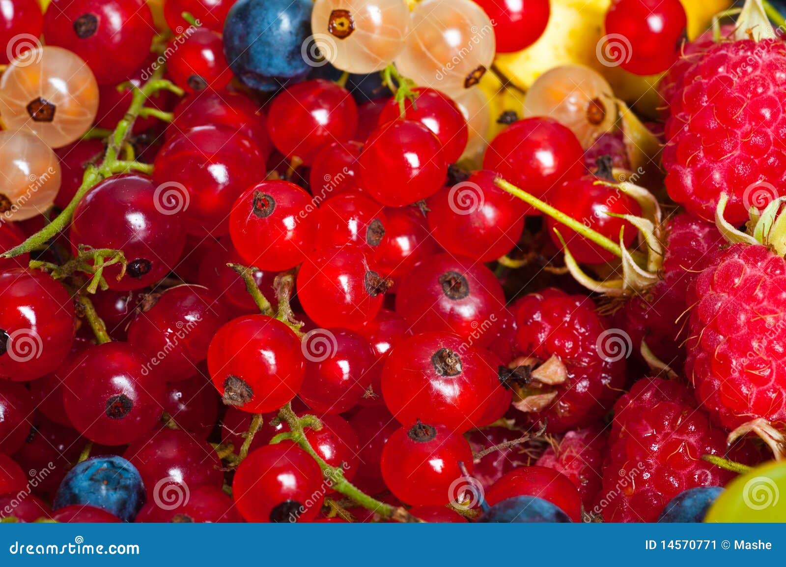Mixed berries stock image. Image of dessert, berry, fruit - 14570771