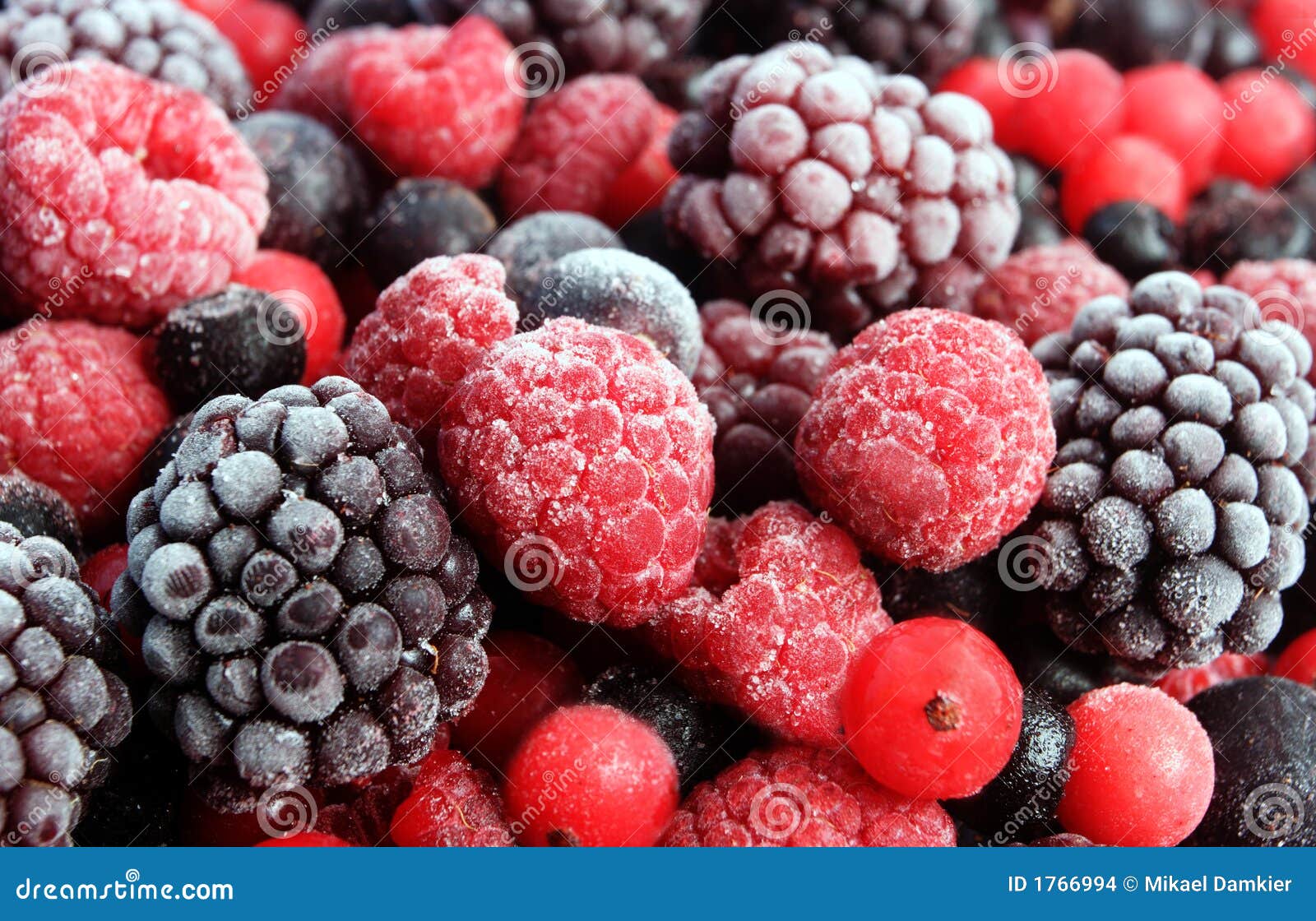 Mixed berries stock photo. Image of farm, color, fresh - 1766994
