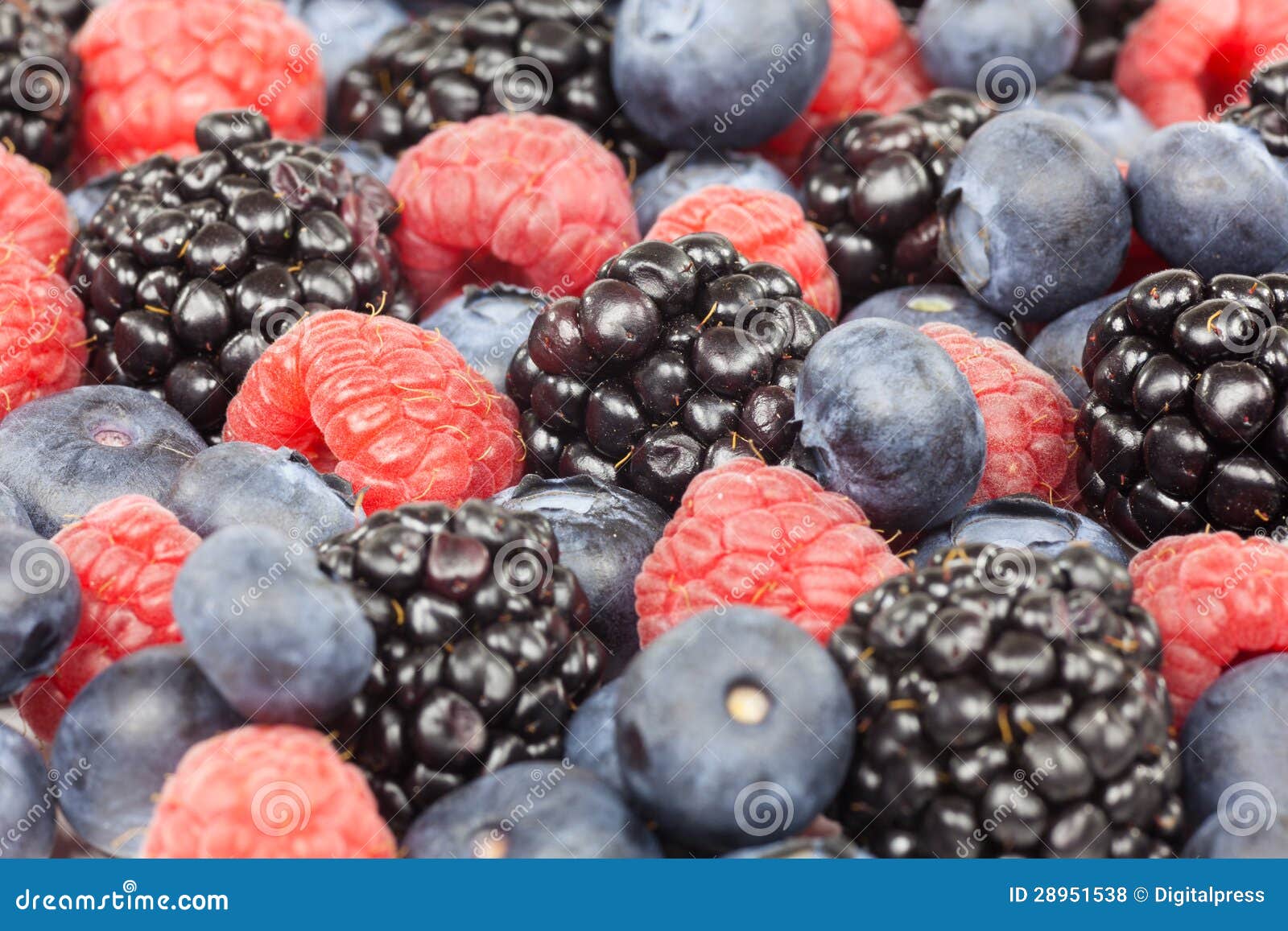 Mixed Berries stock photo. Image of schwarzbeere, frafrac14 - 28951538