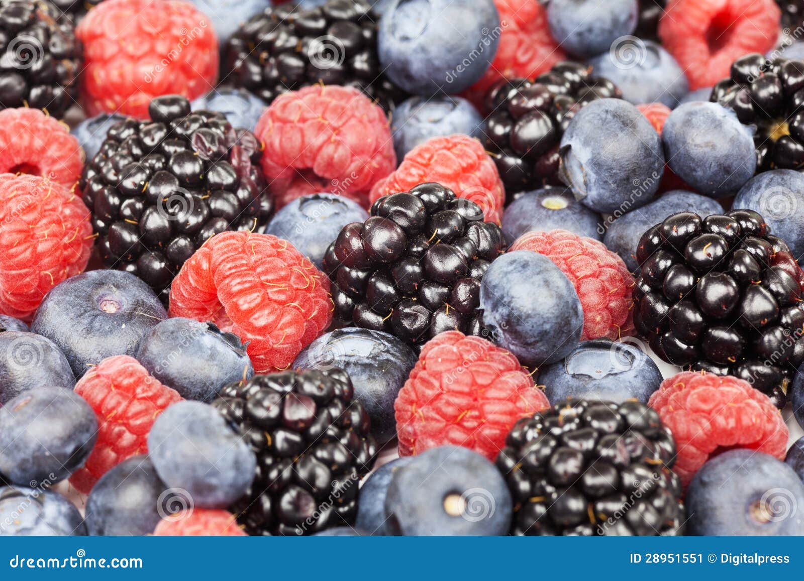 Mixed Berries stock image. Image of berry, beeren, chte - 28951551