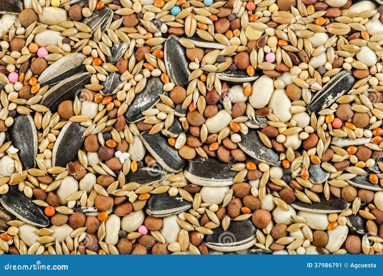 Mixed bird food stock image. Image of hemp, mixture, agriculture - 37986791