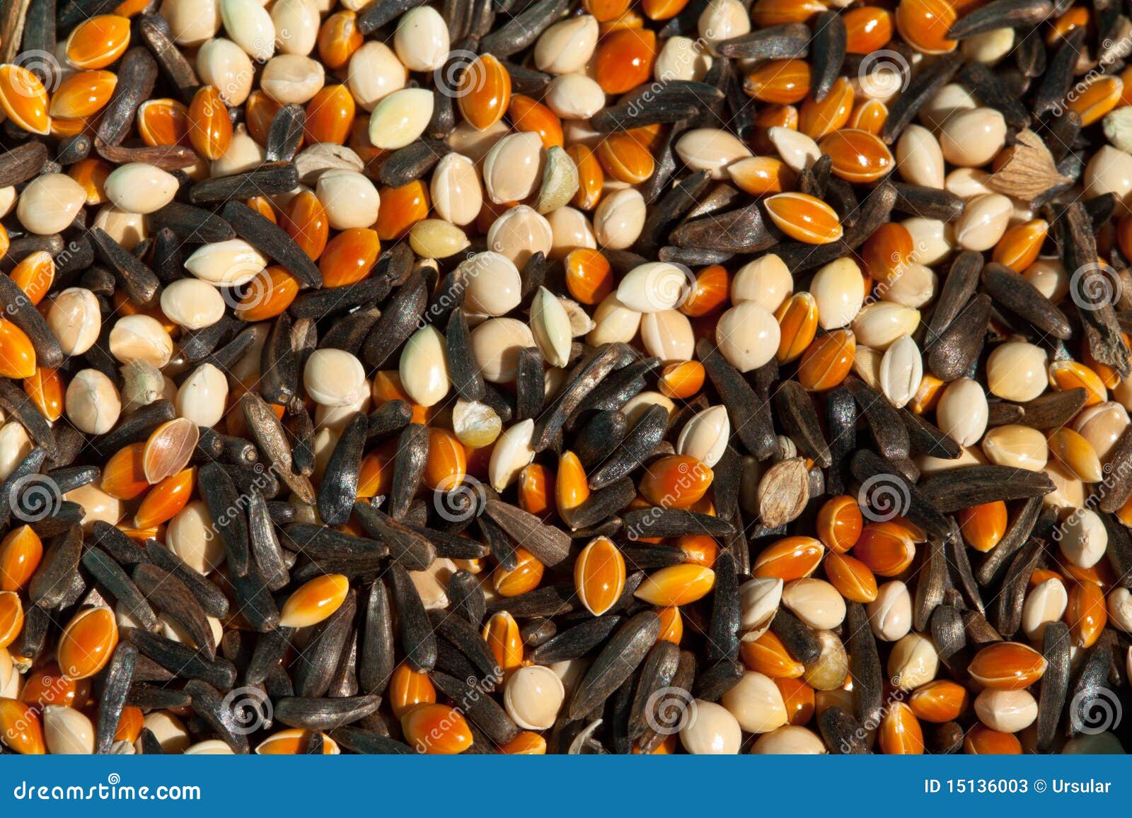 Mixed Bird Seed stock image. Image of seed, bird, feeder - 15136003