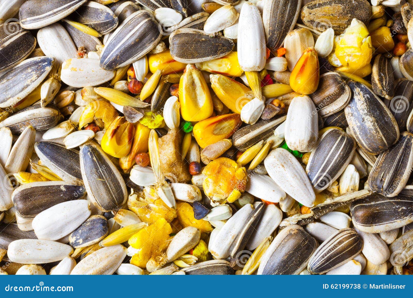 Mixed bird seed close up stock photo. Image of wild, detail - 62199738