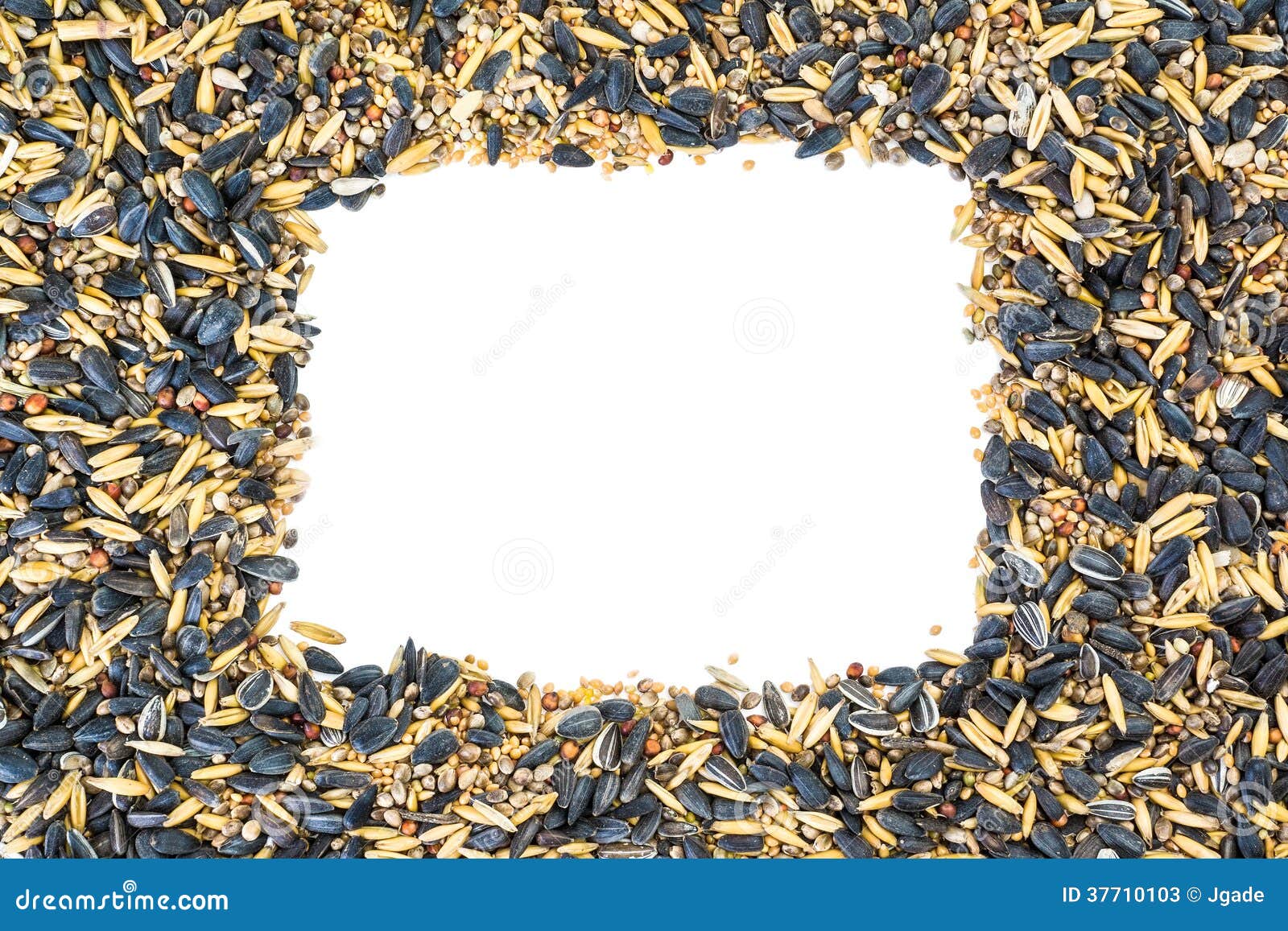 Mixed bird seeds stock image. Image of full, birdseed - 37710103