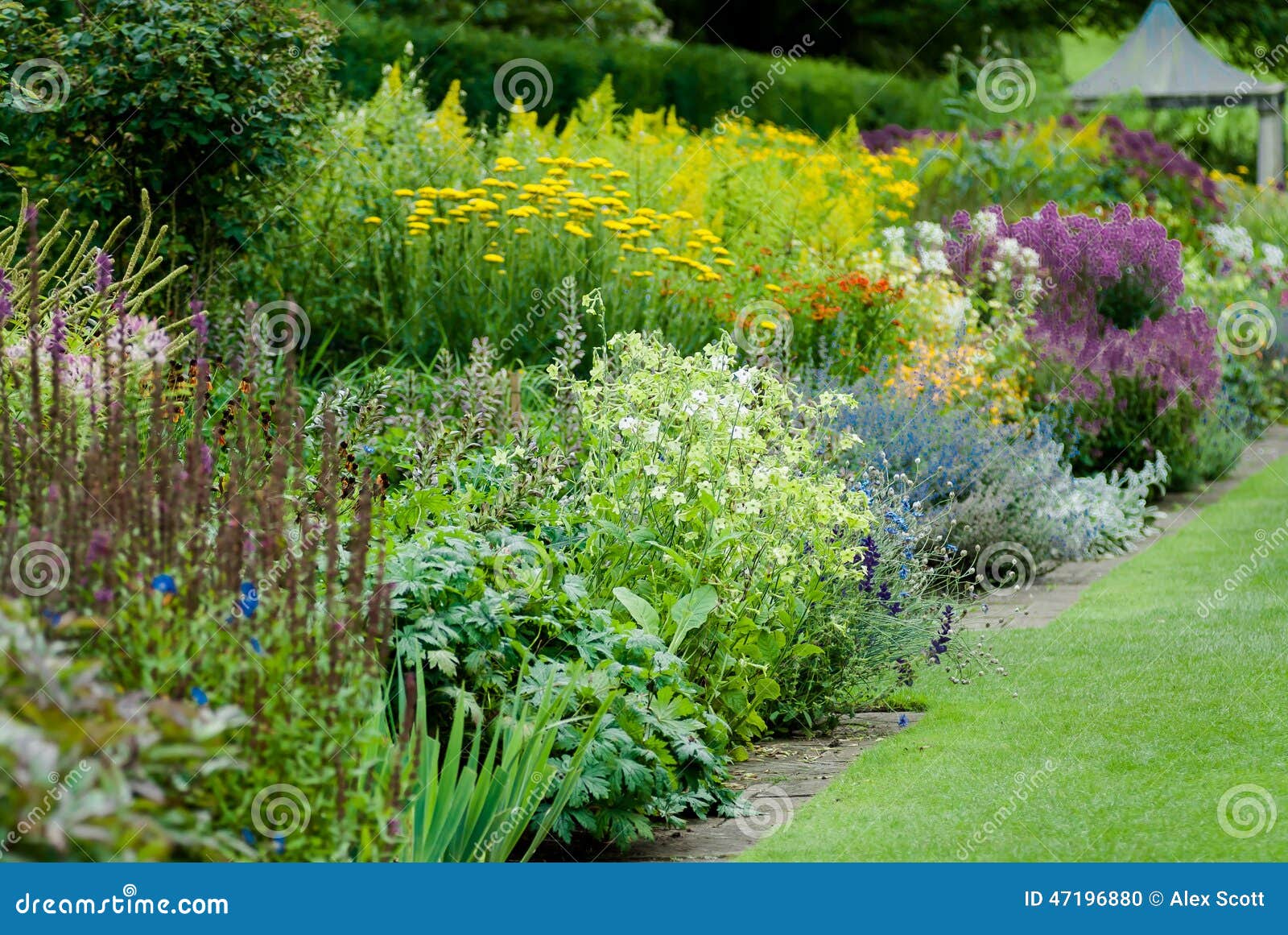 Mixed border landscape stock photo. Image of summer, border - 47196880