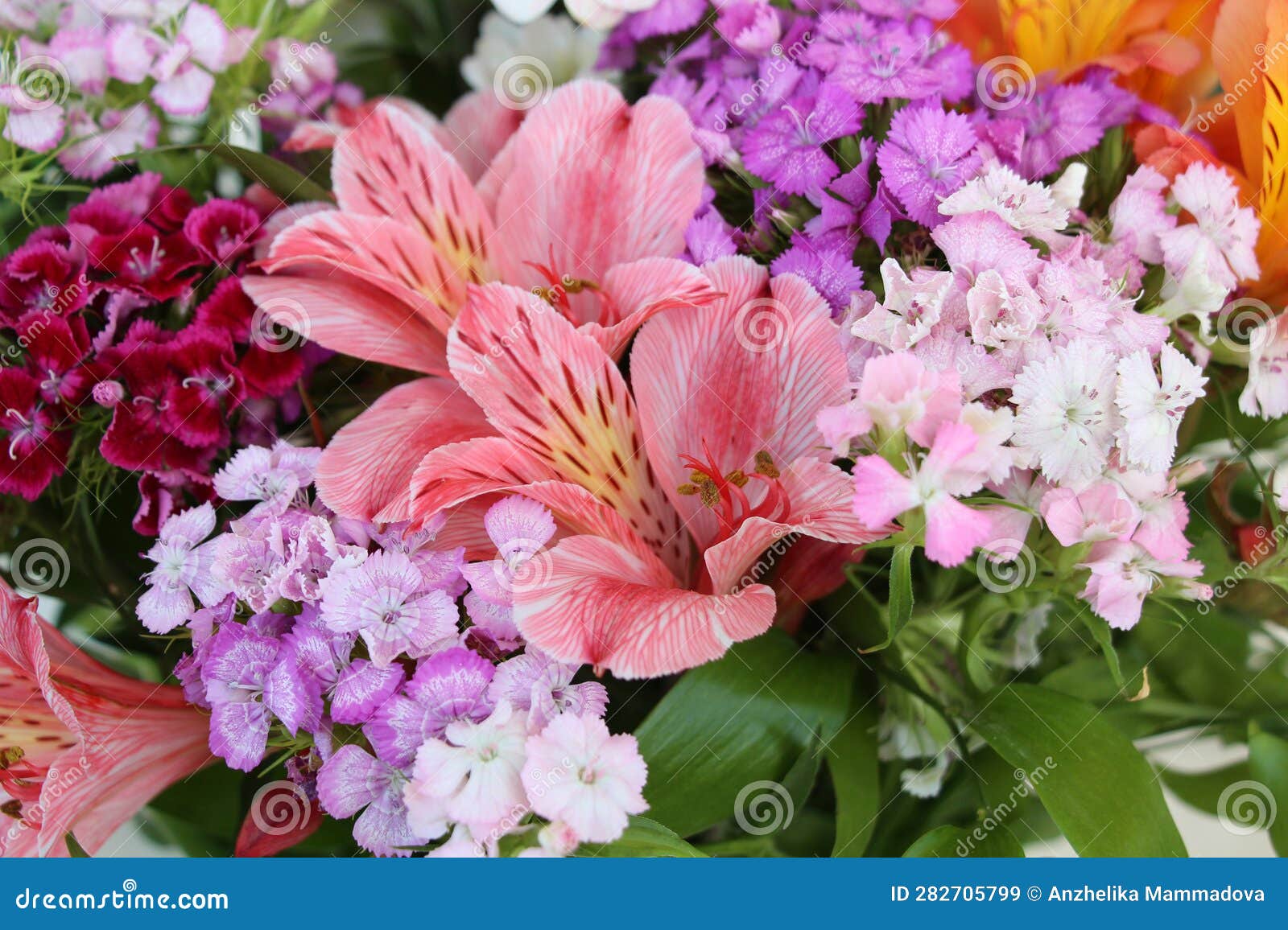 Mixed bouquet stock image. Image of beauty, blooming - 282705799