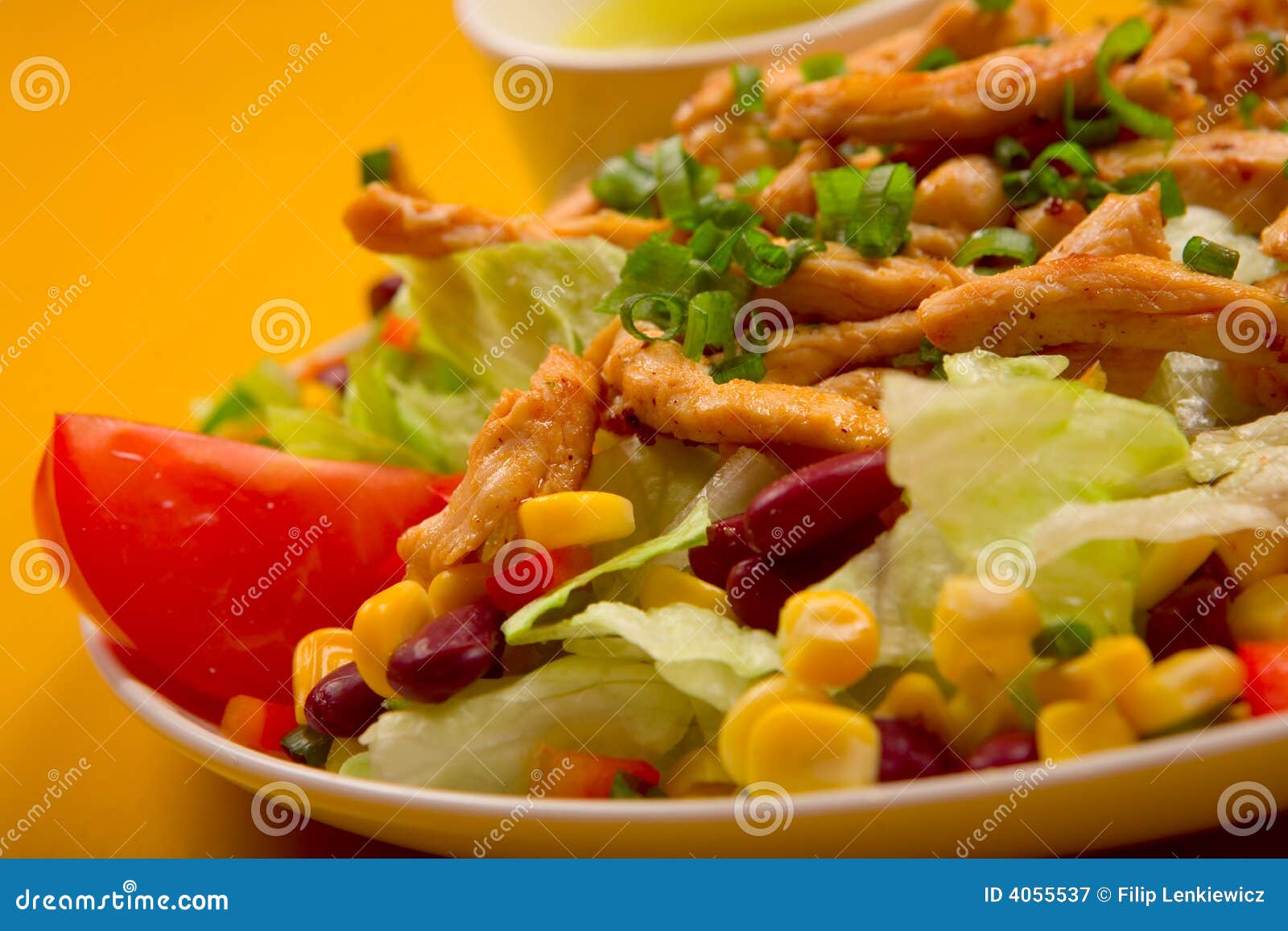 Mixed chicken salad stock image. Image of paprika, dish - 4055537