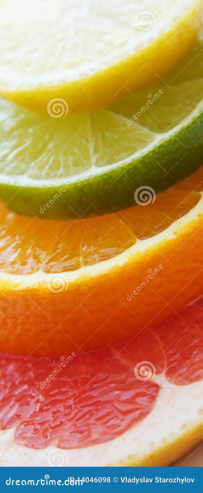 Mixed citrus fruit stock photo. Image of juicy, products - 14046098