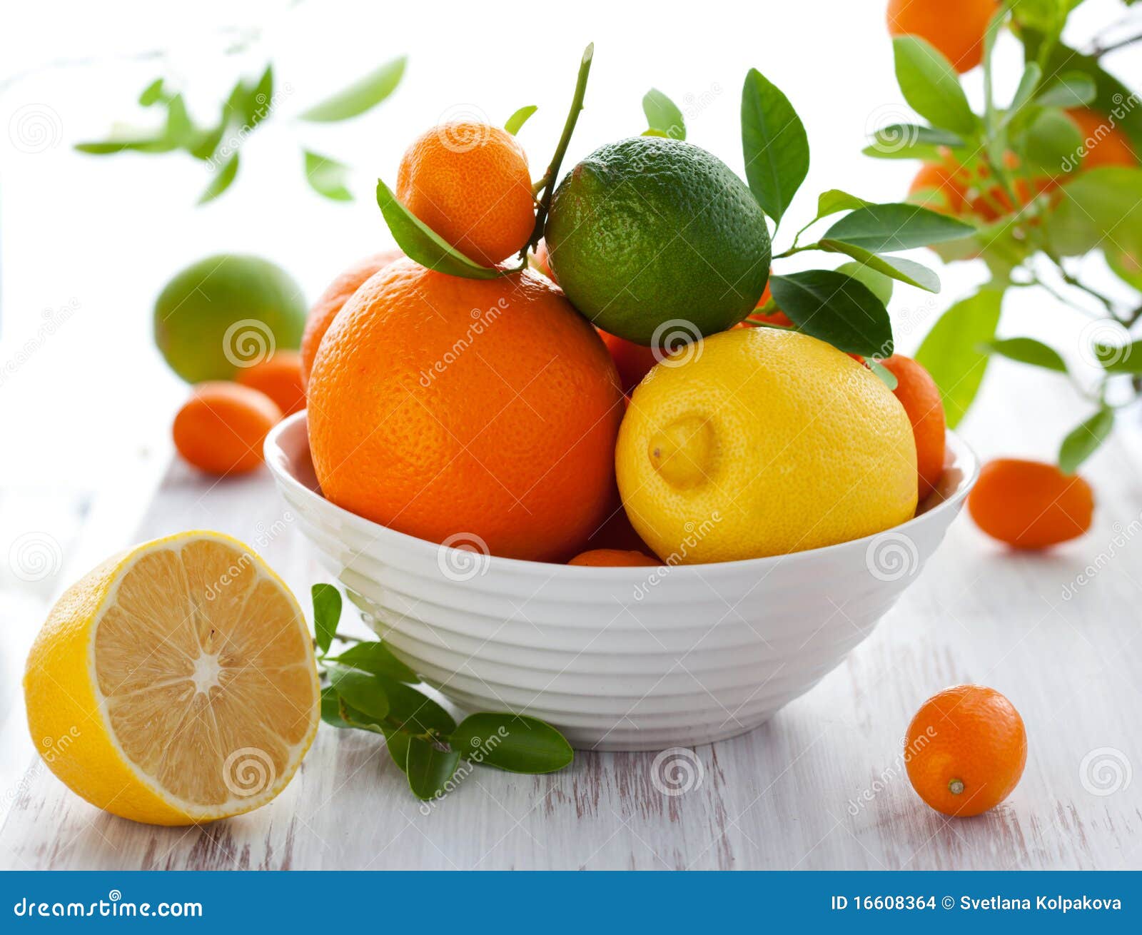 Mixed citrus fruit stock photo. Image of healthy, juicy - 16608364
