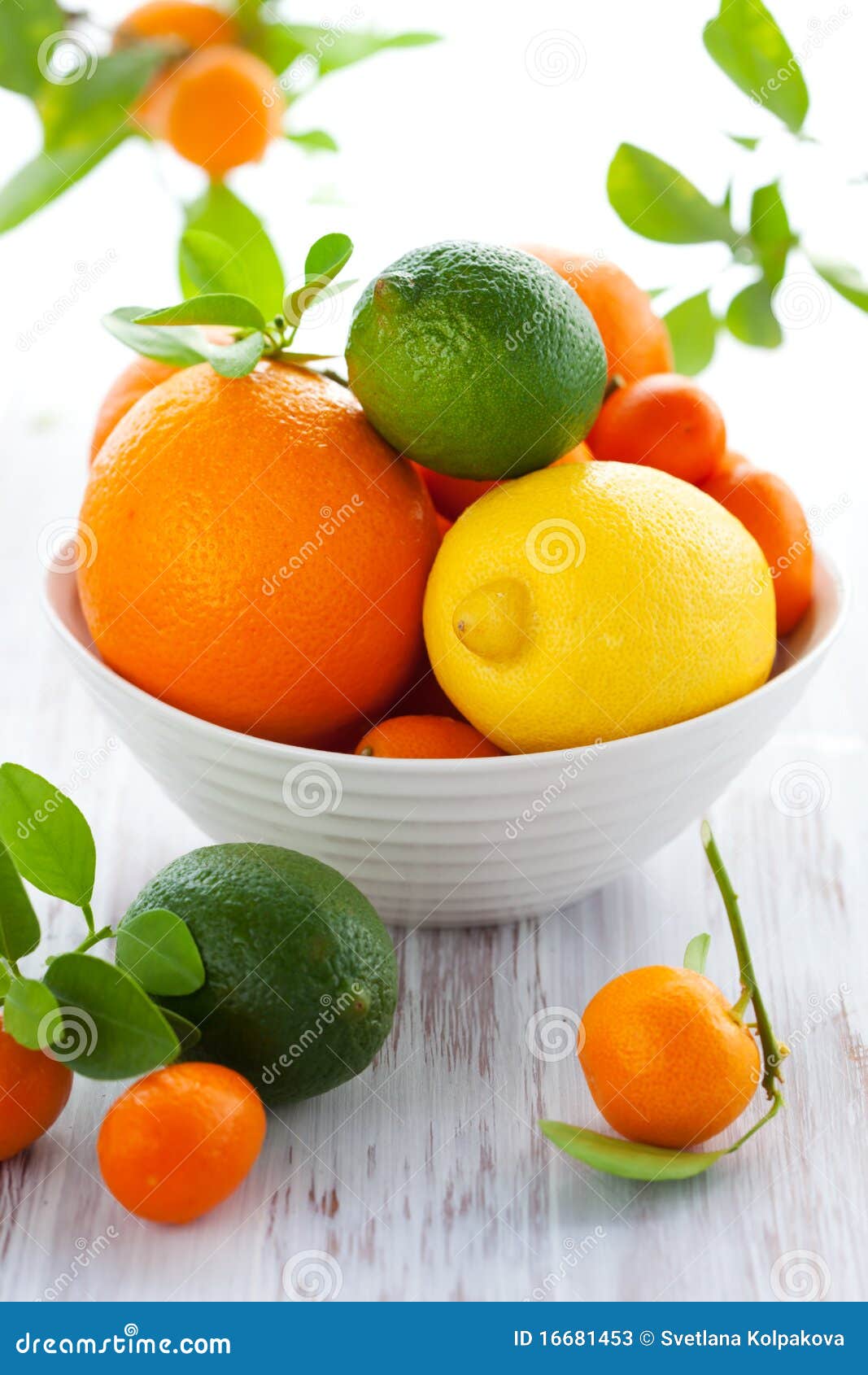 Mixed citrus fruit stock image. Image of ingredient, freshness - 16681453