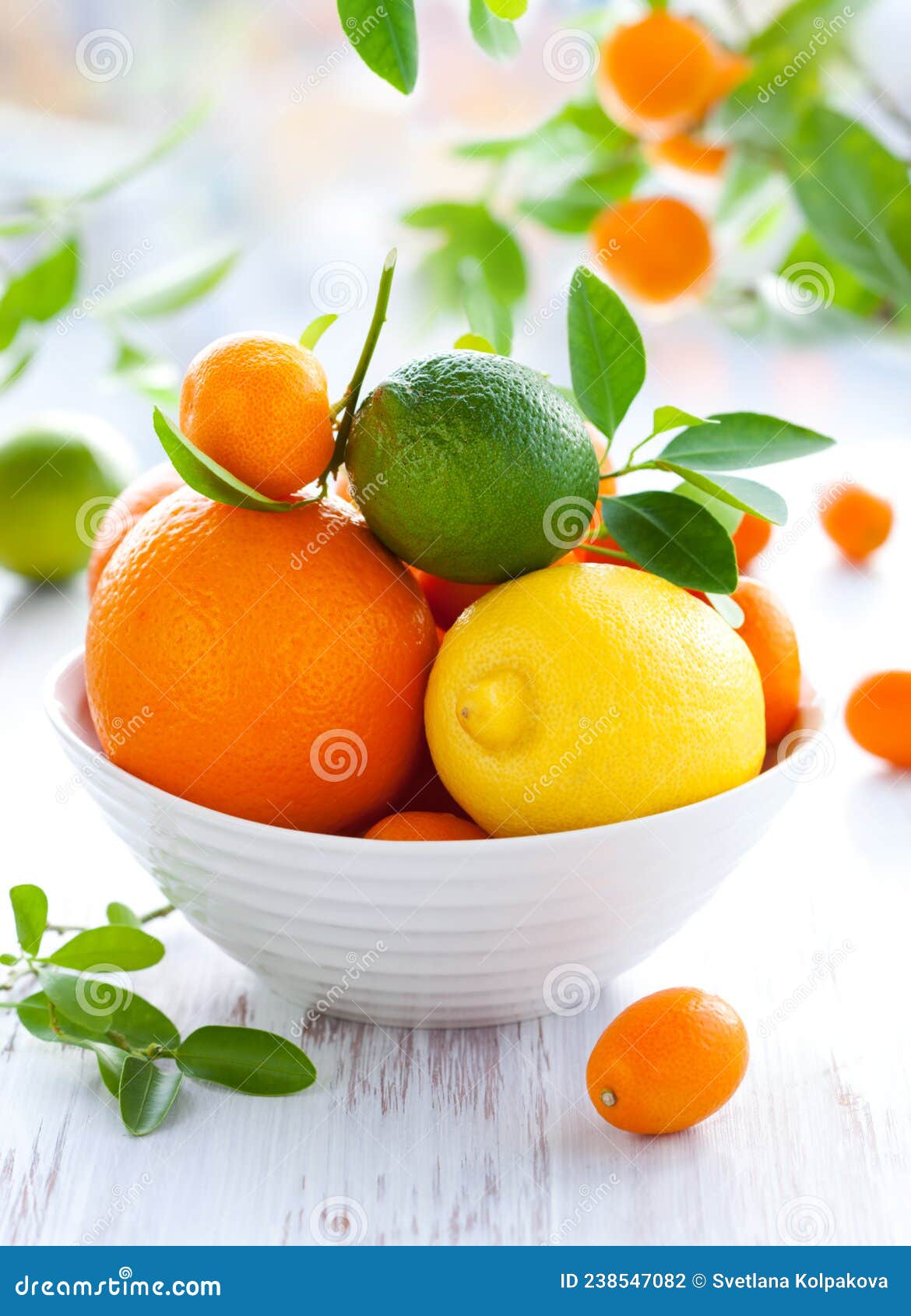 Mixed citrus fruit stock photo. Image of fruit, assorted - 238547082