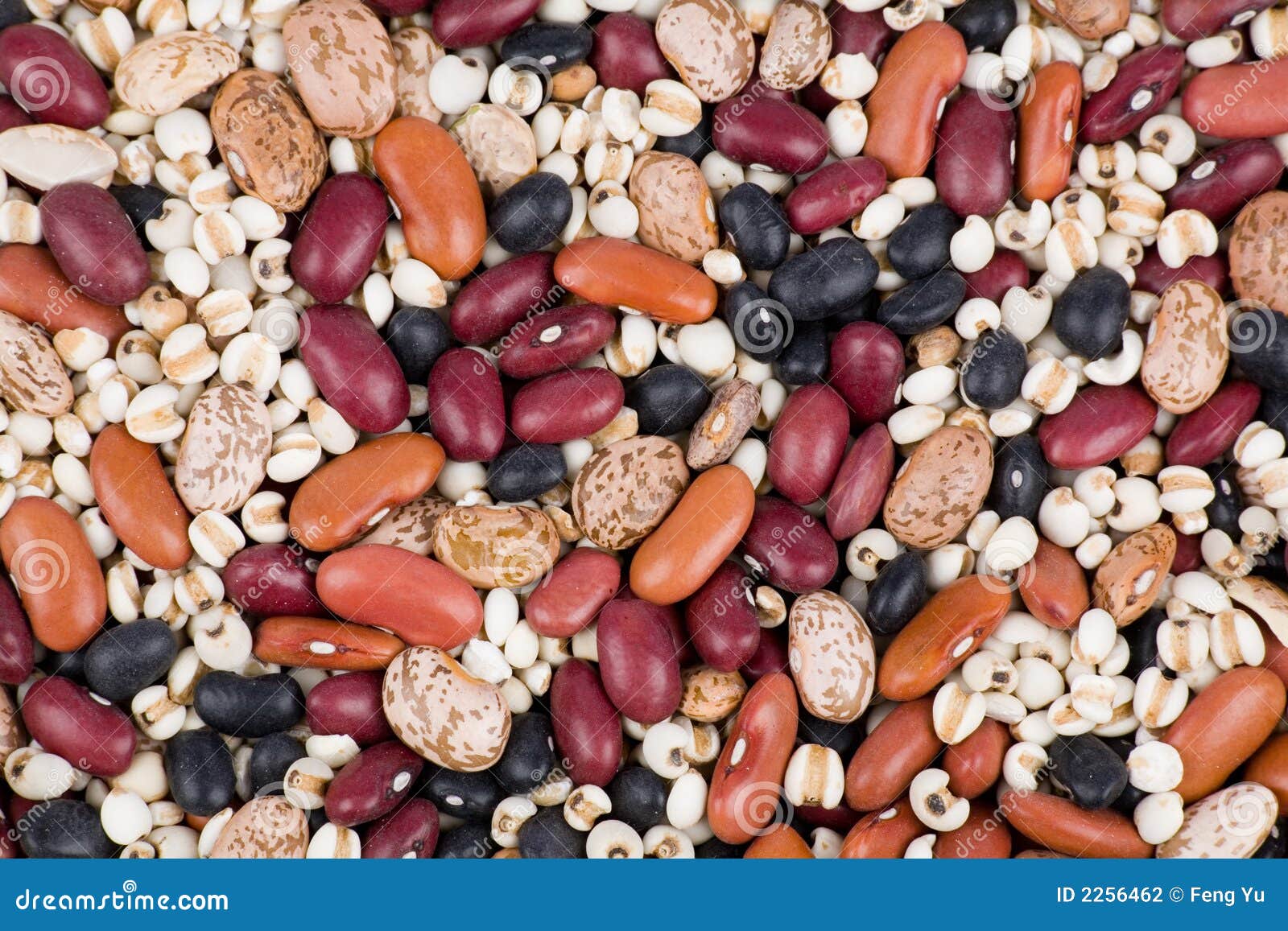 Mixed dried beans stock photo. Image of vegetarian, eating - 2256462