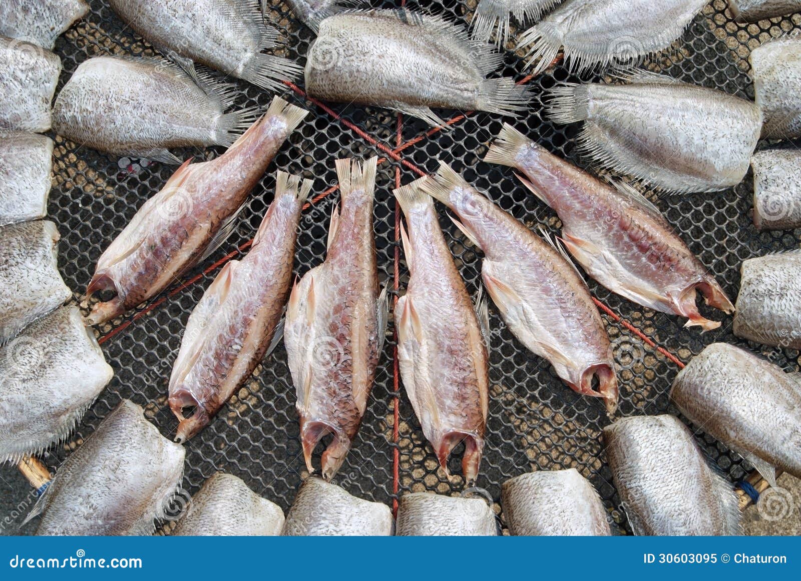 Mixed Dried Fish Royalty-Free Stock Photography | CartoonDealer.com ...