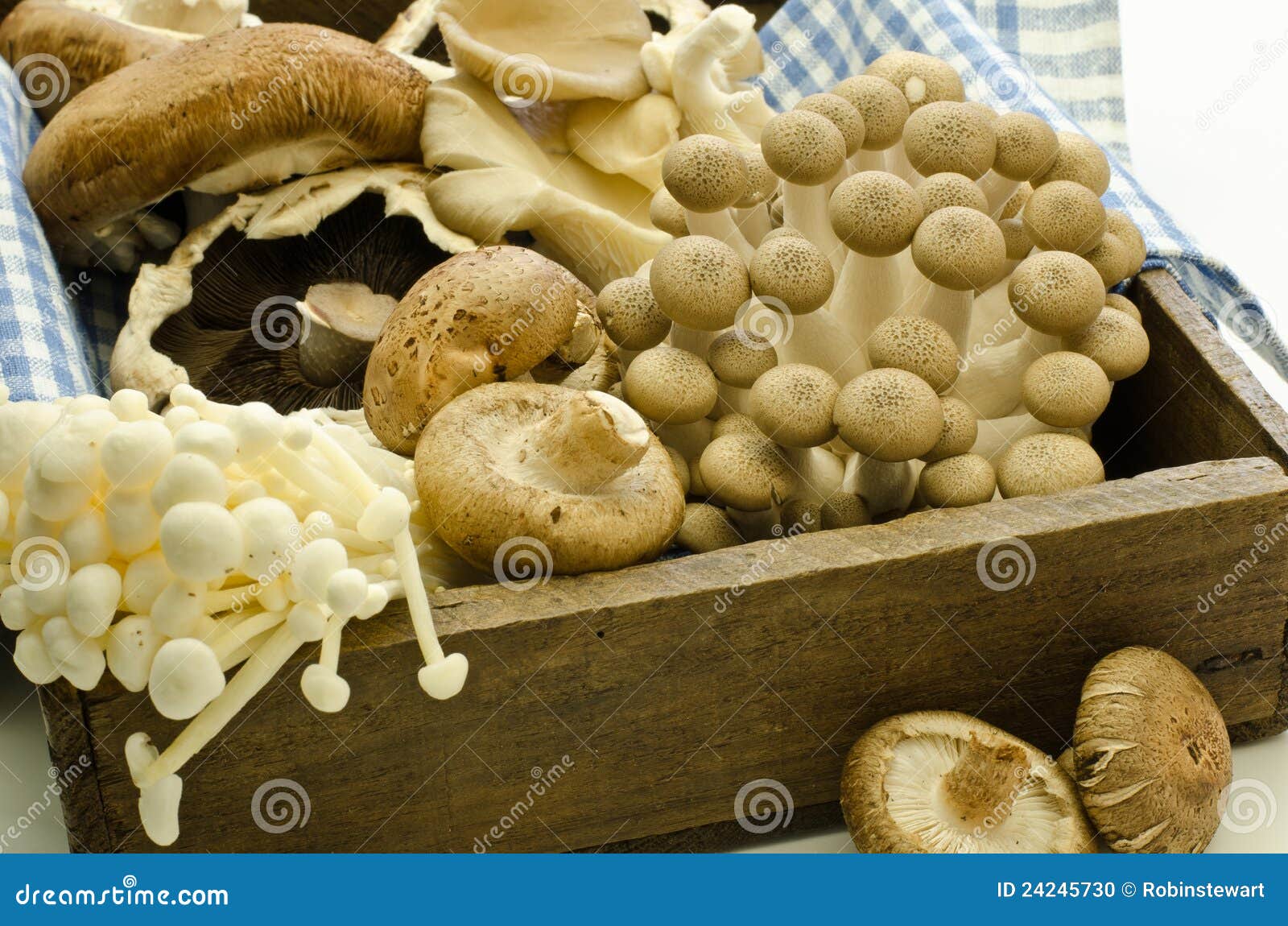 Mixed exotic mushrooms stock photo. Image of ingredients - 24245730