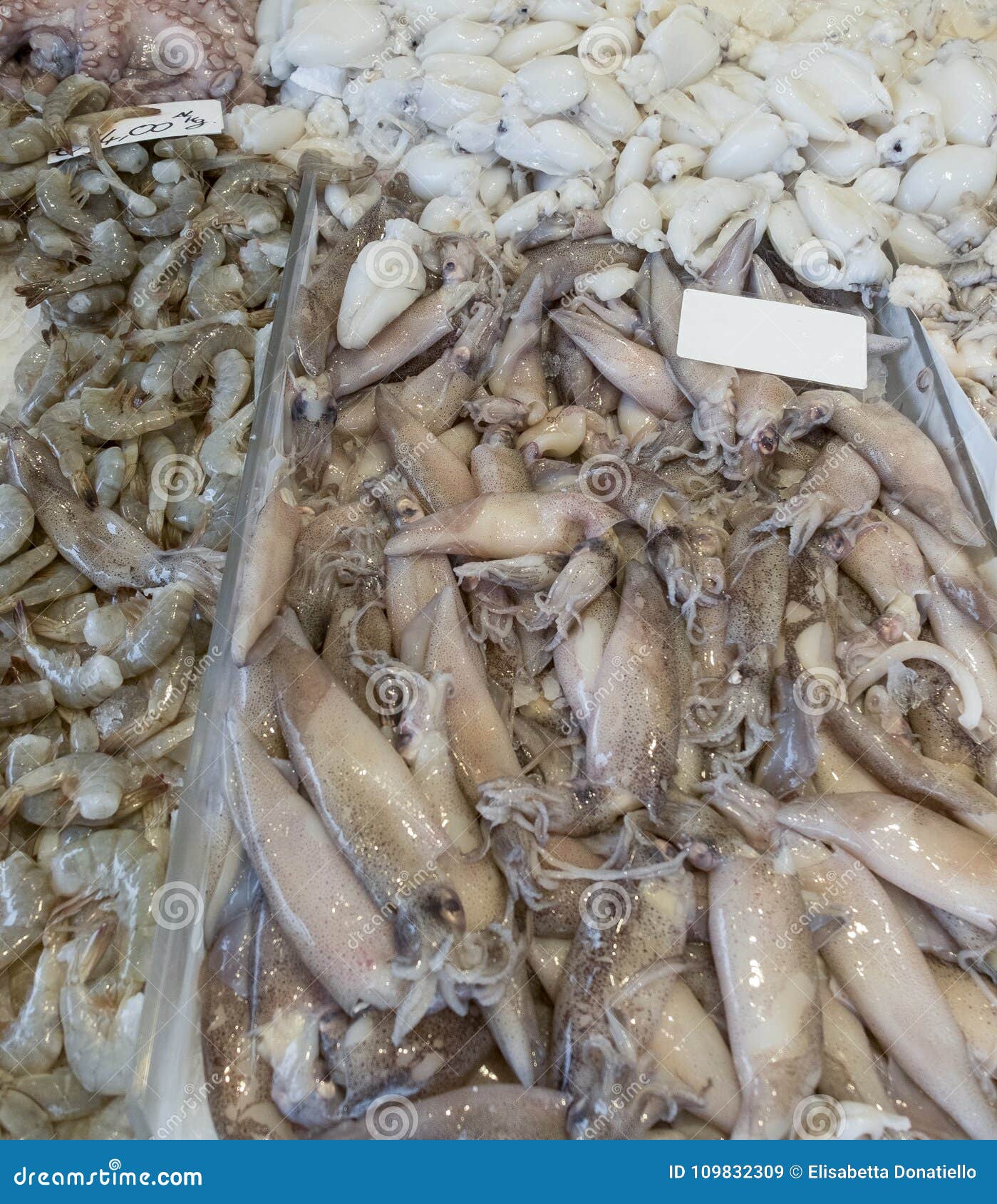 Mixed Fish Counter. Various Molluscs Stock Image - Image of display ...