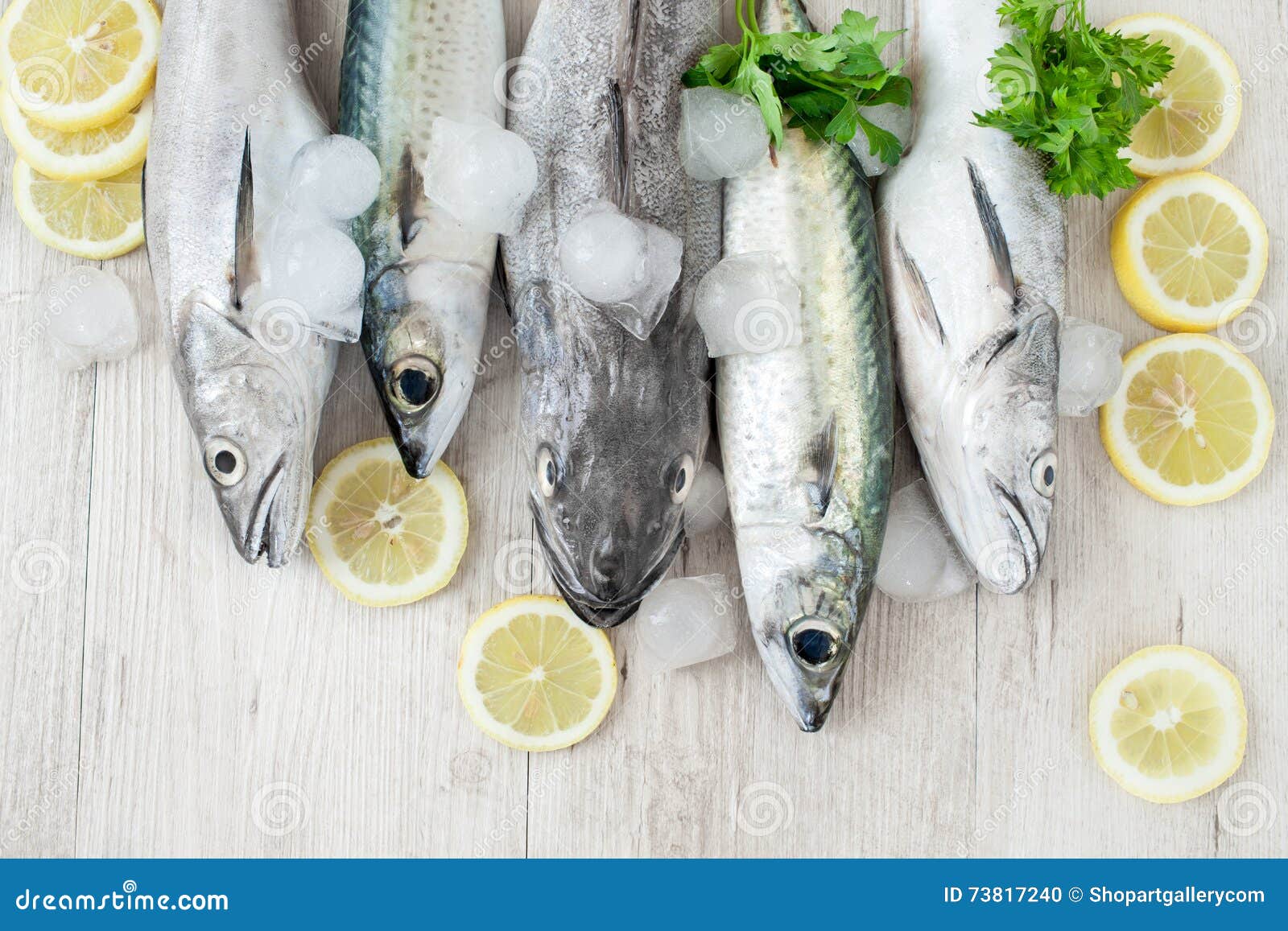 Mixed Fish stock photo. Image of catch, atlantic, ocean - 73817240