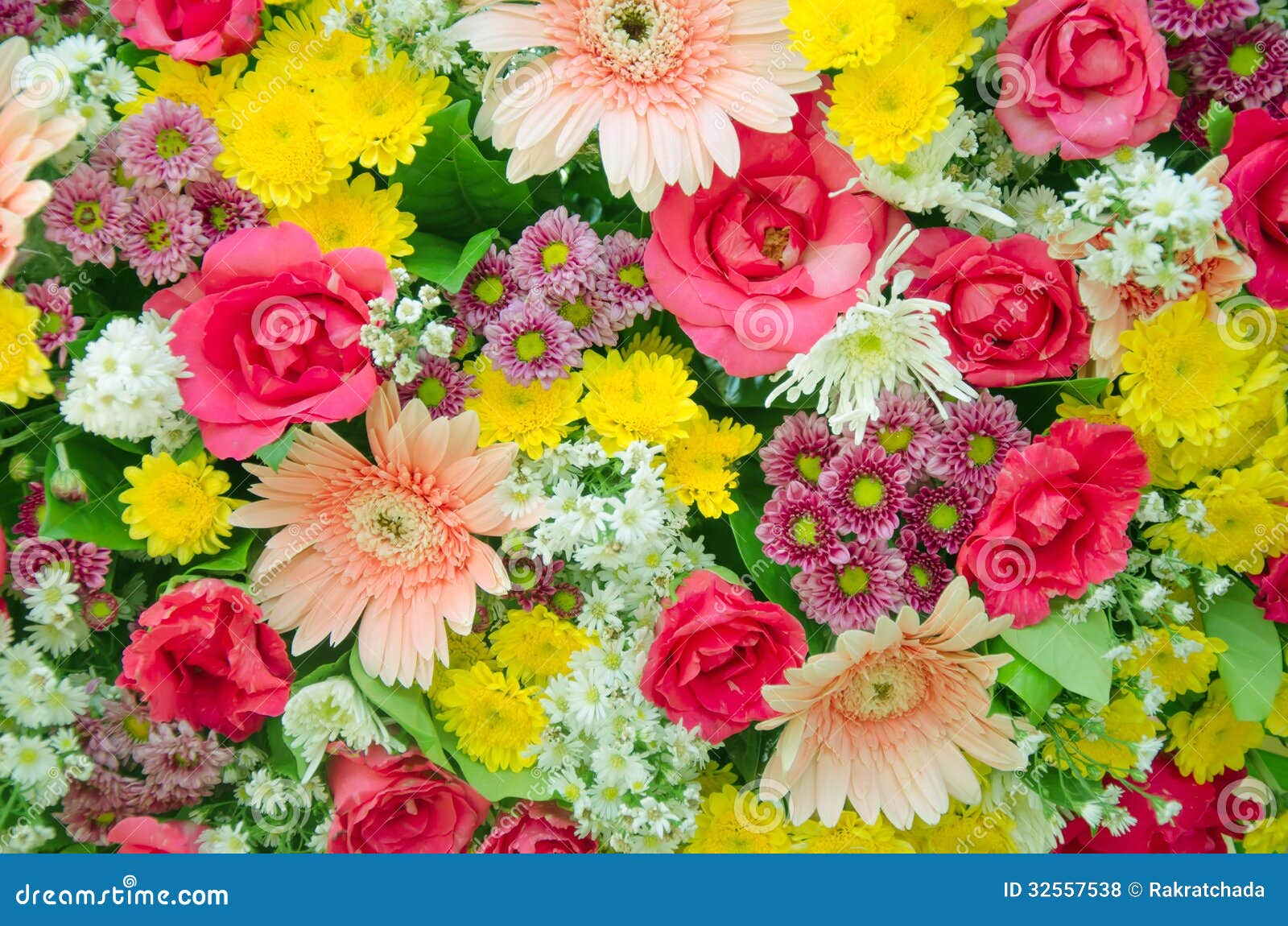 Mixed flora stock photo. Image of bunch, blooming, fragrant - 32557538