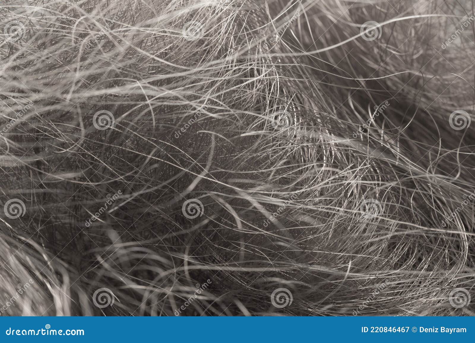 Mixed Form of Copper Wire and Rope Helix Stock Image - Image of ...