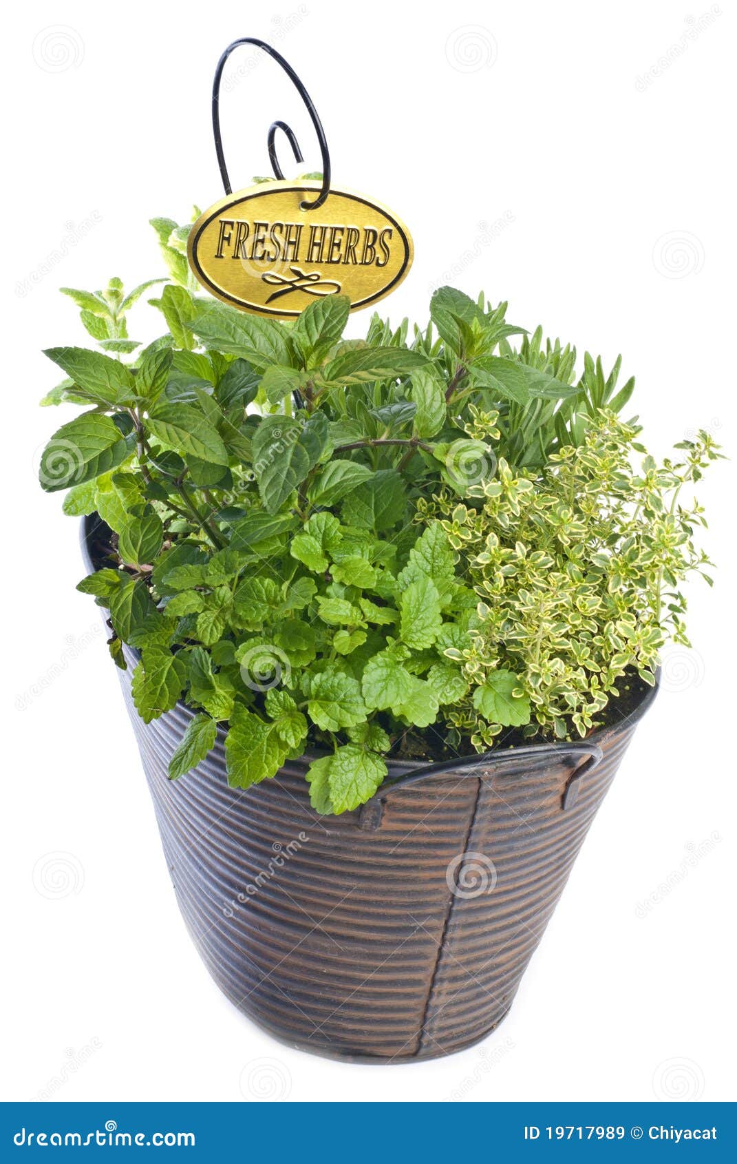 Mixed Fresh Herbs in a Basket Stock Image - Image of mint, white: 19717989