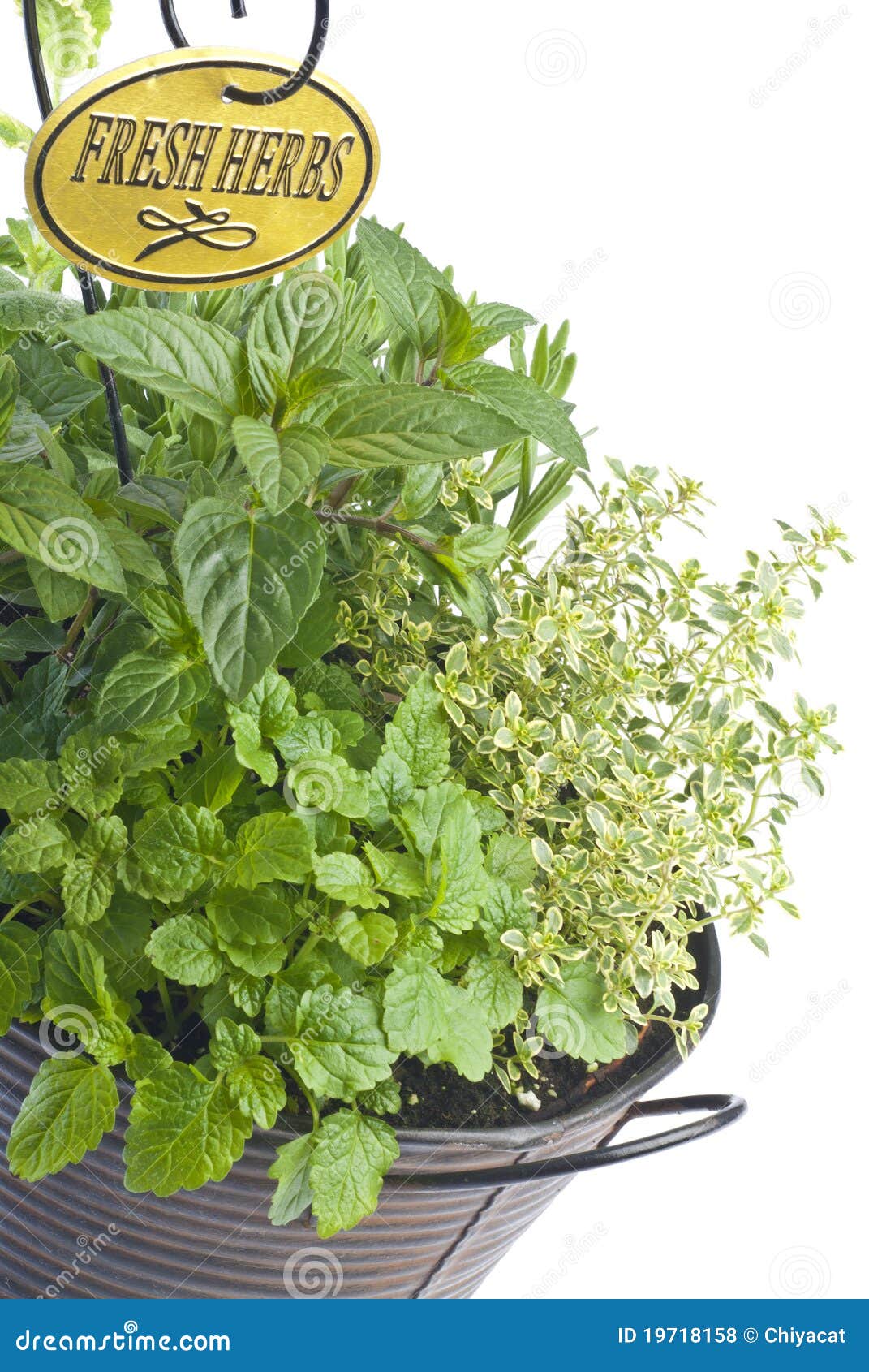 Mixed Fresh Herbs in a Basket Stock Photo - Image of pepper, green ...