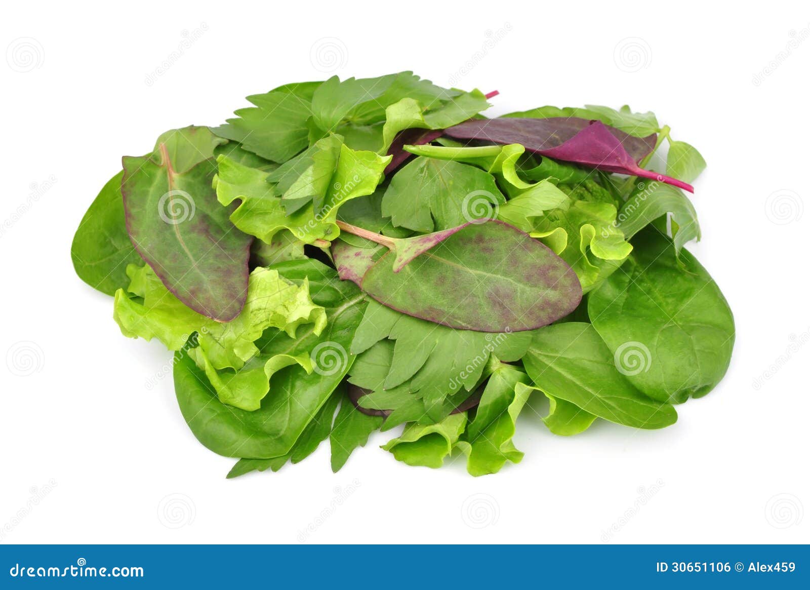 Mixed fresh salad leaves stock photo. Image of spring - 30651106