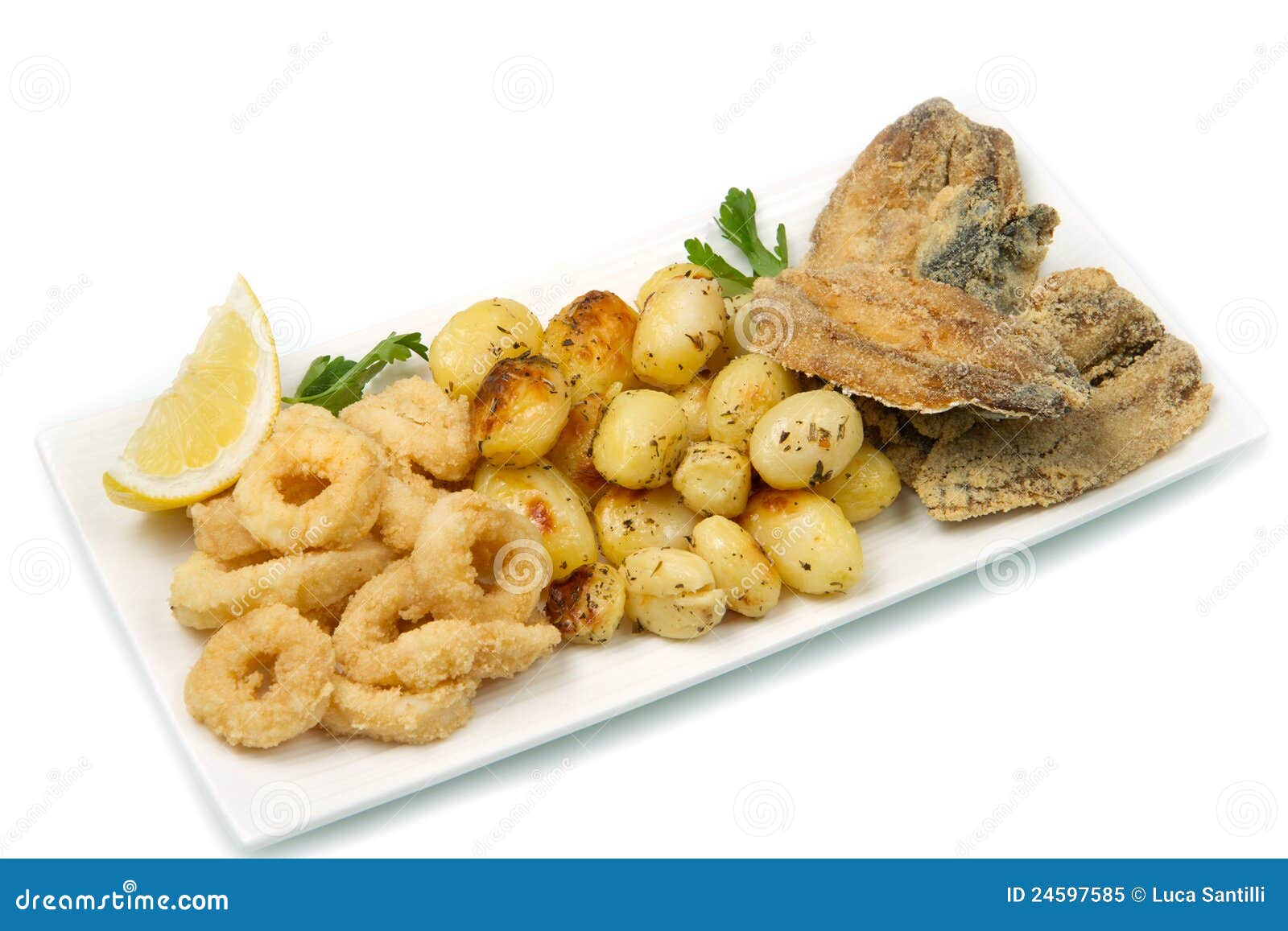 Mixed fried stock image. Image of appetizer, plate, crunchy - 24597585