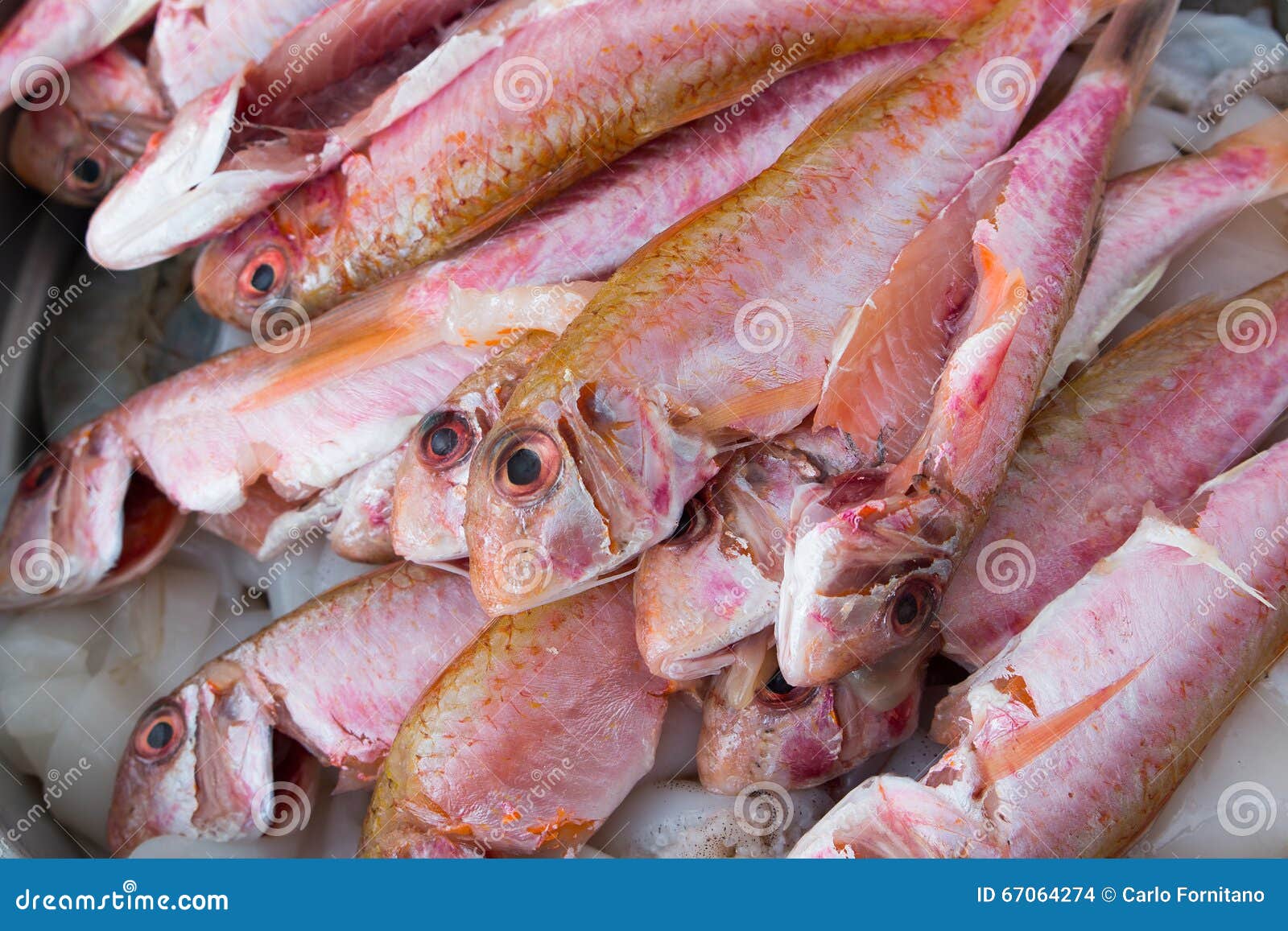 Mixed fried fish stock photo. Image of diet, eating, mullet - 67064274