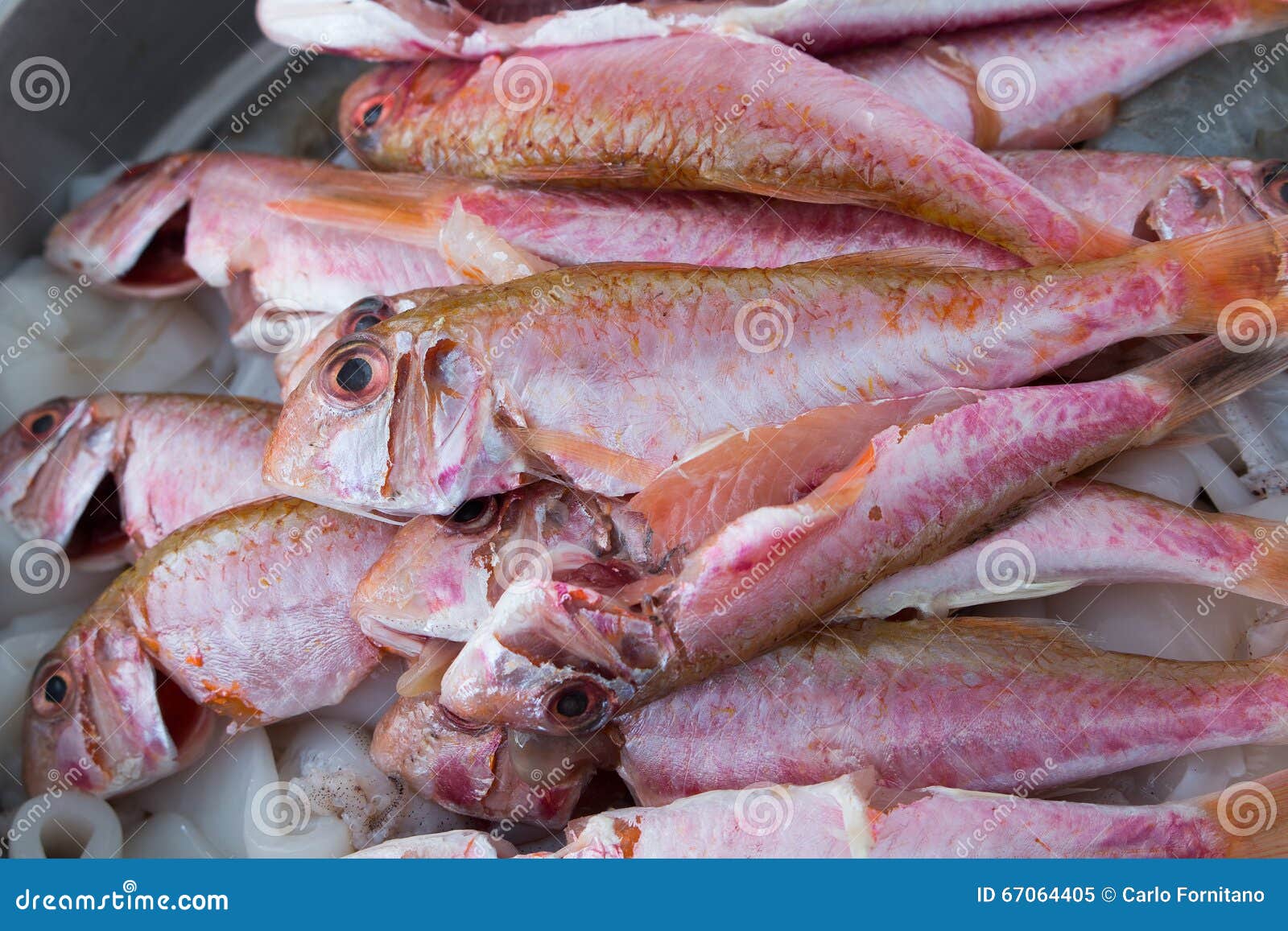 Mixed fried fish stock image. Image of fried, frying - 67064405