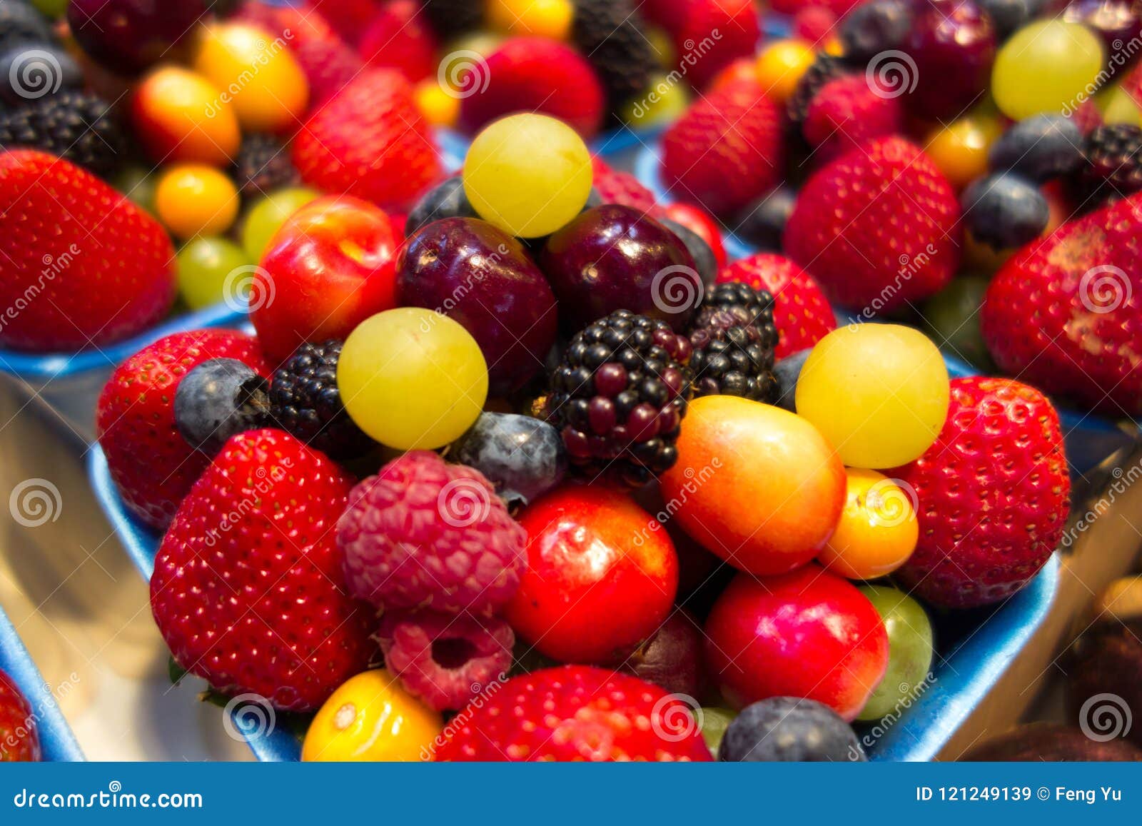 Fruit Berries Of Shadbush Shrub Amelanchier Also Known As Serviceberry ...