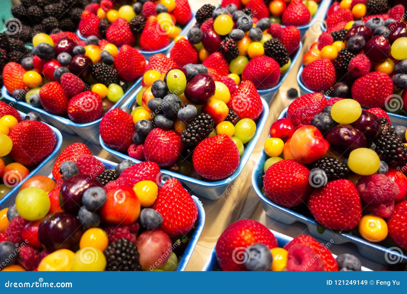 Fruit Berries Of Shadbush Shrub Amelanchier Also Known As Serviceberry ...