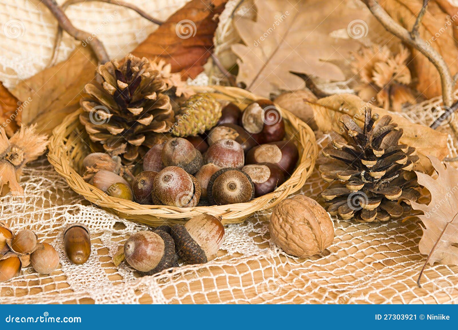 Mixed fruits in autumn stock image. Image of cones, decorations - 27303921