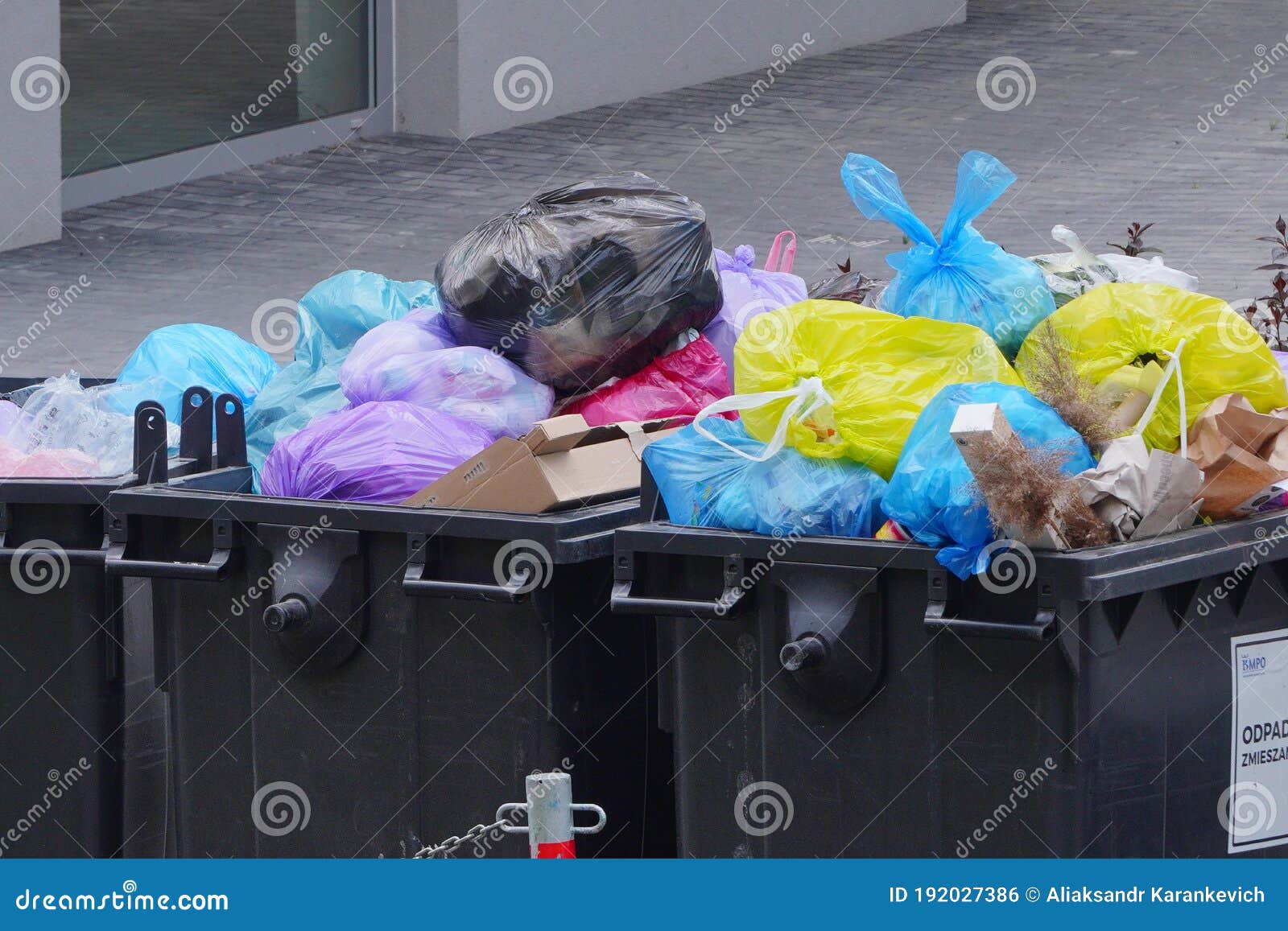 Mixed Garbage in Large Quantities in the Construction Container ...