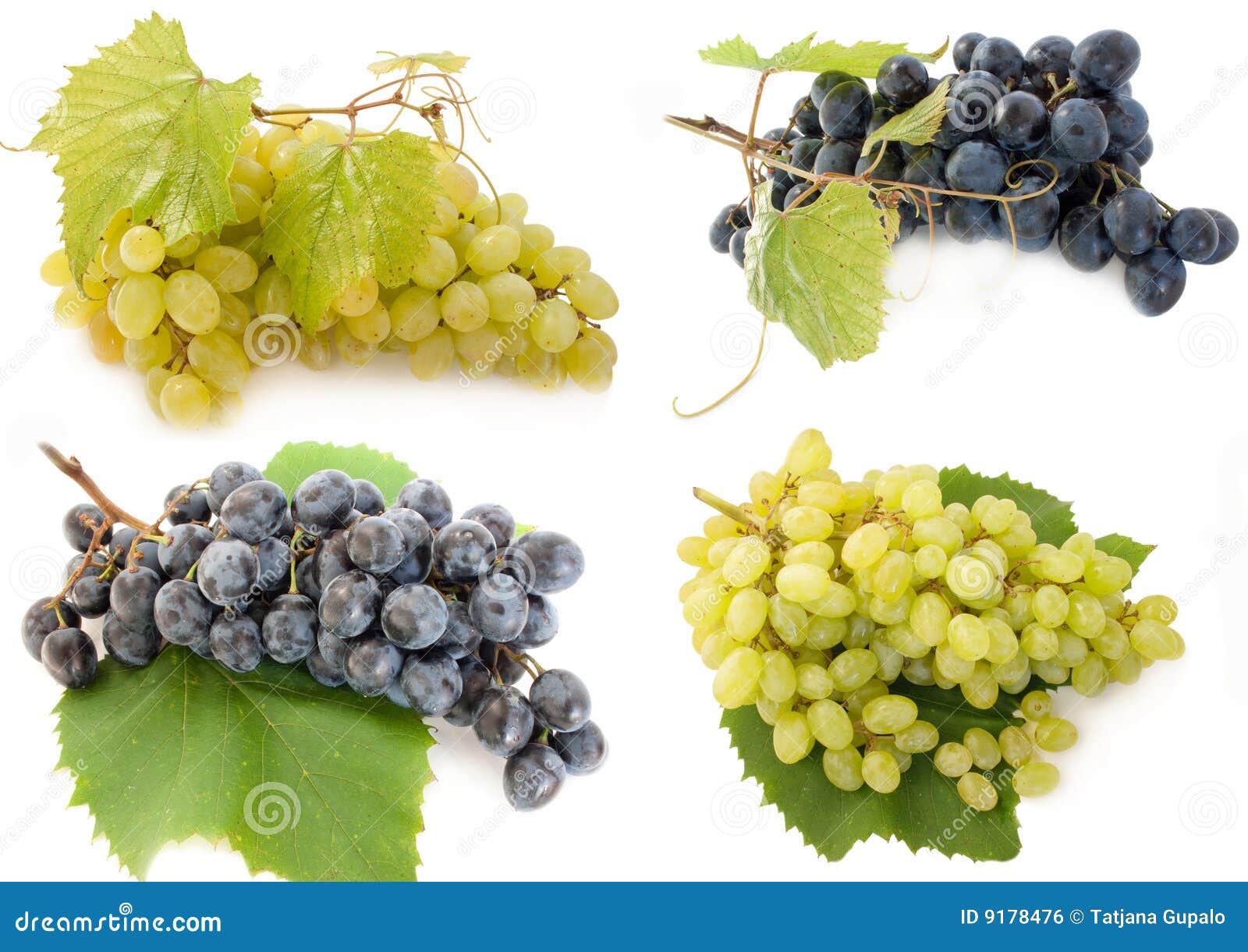 Mixed grape stock photo. Image of autumn, freshness, eating - 9178476