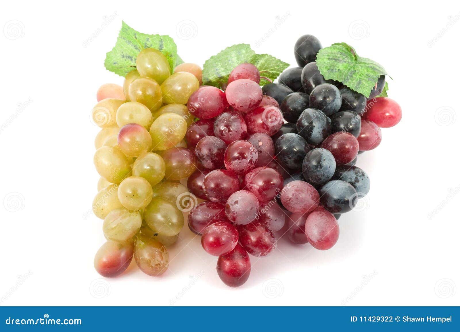 Mixed grapes stock photo. Image of branch, delicious - 11429322