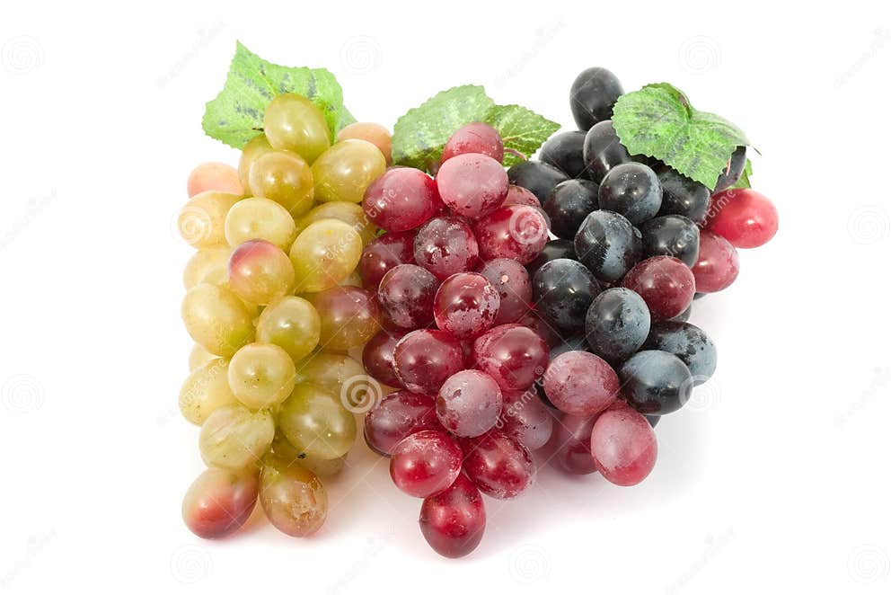 Mixed grapes stock photo. Image of branch, delicious - 11429322