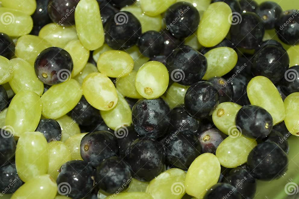 Mixed Grapes stock image. Image of eating, bowl, grape - 3052595
