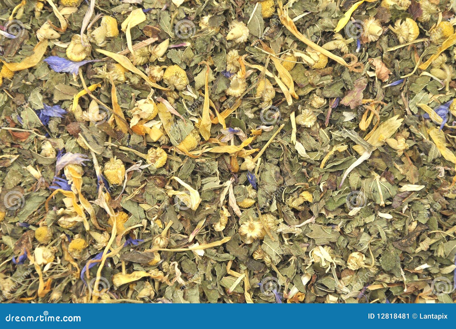 Mixed herbs stock image. Image of drink, camomile, bluebottle - 12818481