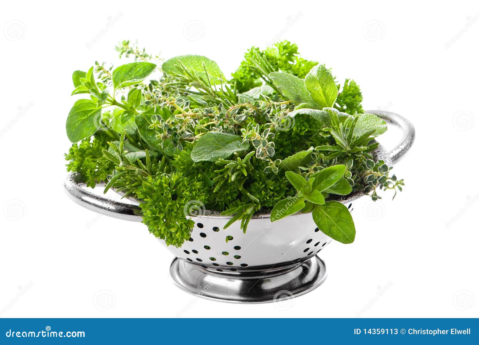 Mixed Herbs stock image. Image of thyme, sage, white - 14359113
