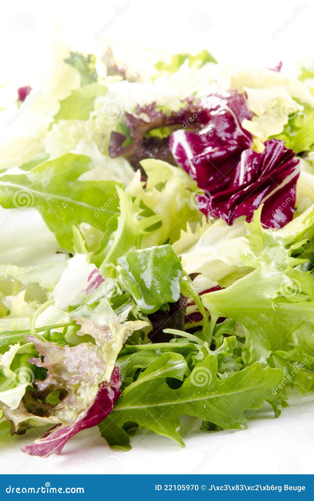 Mixed Italian Salad and a White Background Stock Photo - Image of ...