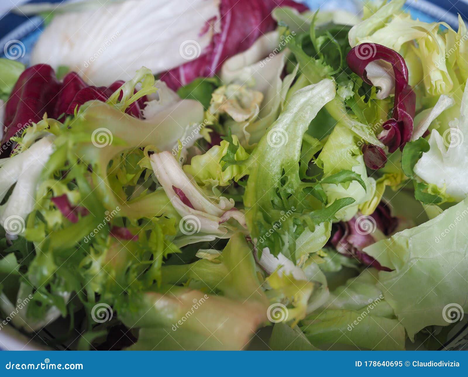 Mixed leaf salad stock image. Image of leaves, nature - 178640695