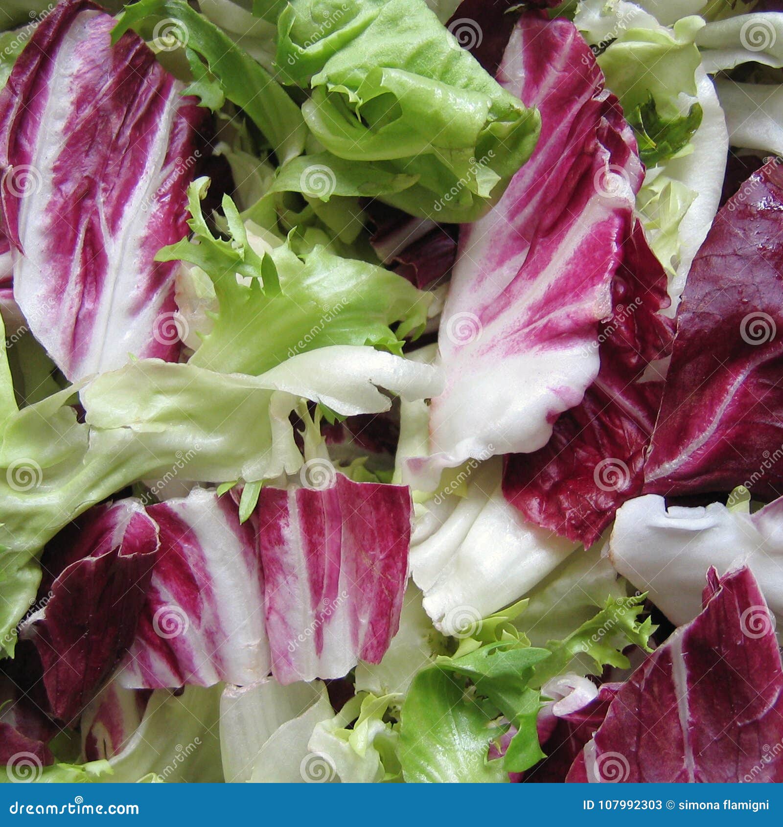 Mixed lettuce closeup stock image. Image of closeup - 107992303