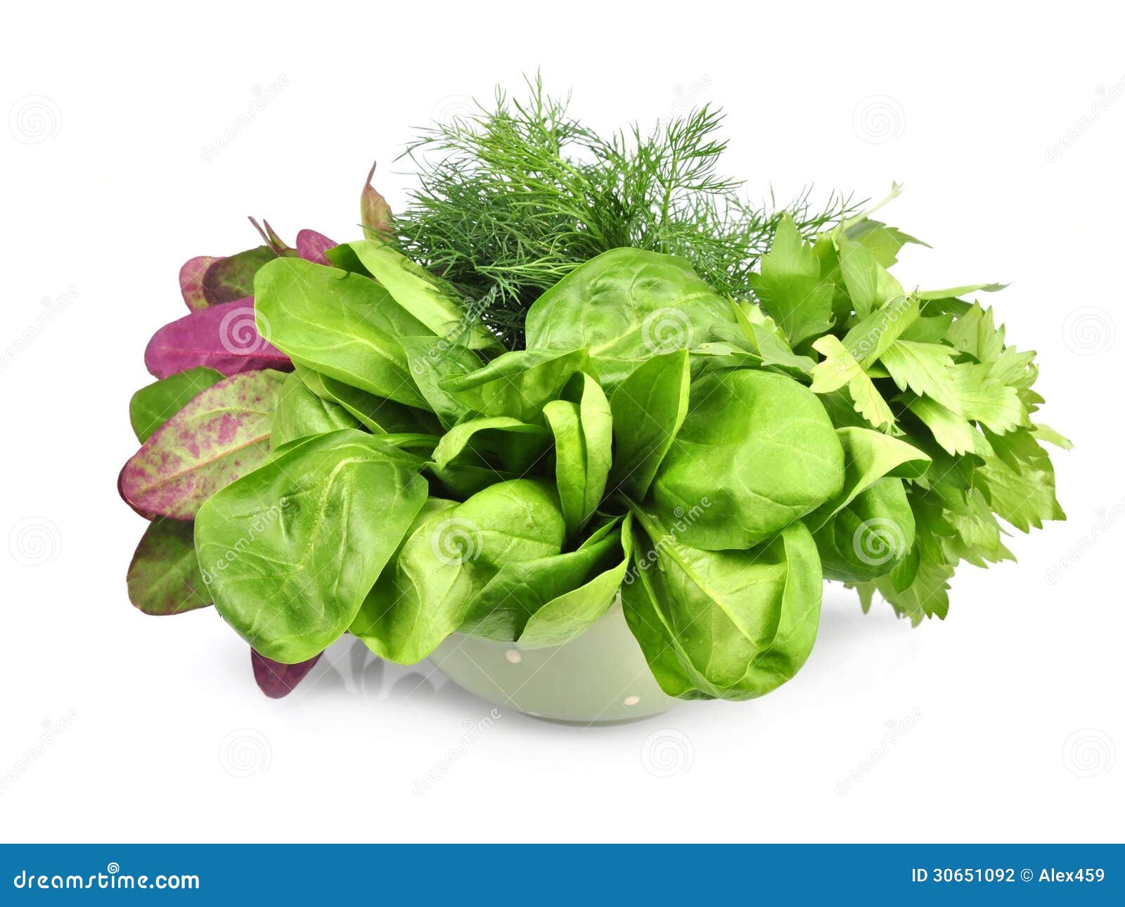 Mixed lettuce stock photo. Image of lettuce, colored - 30651092