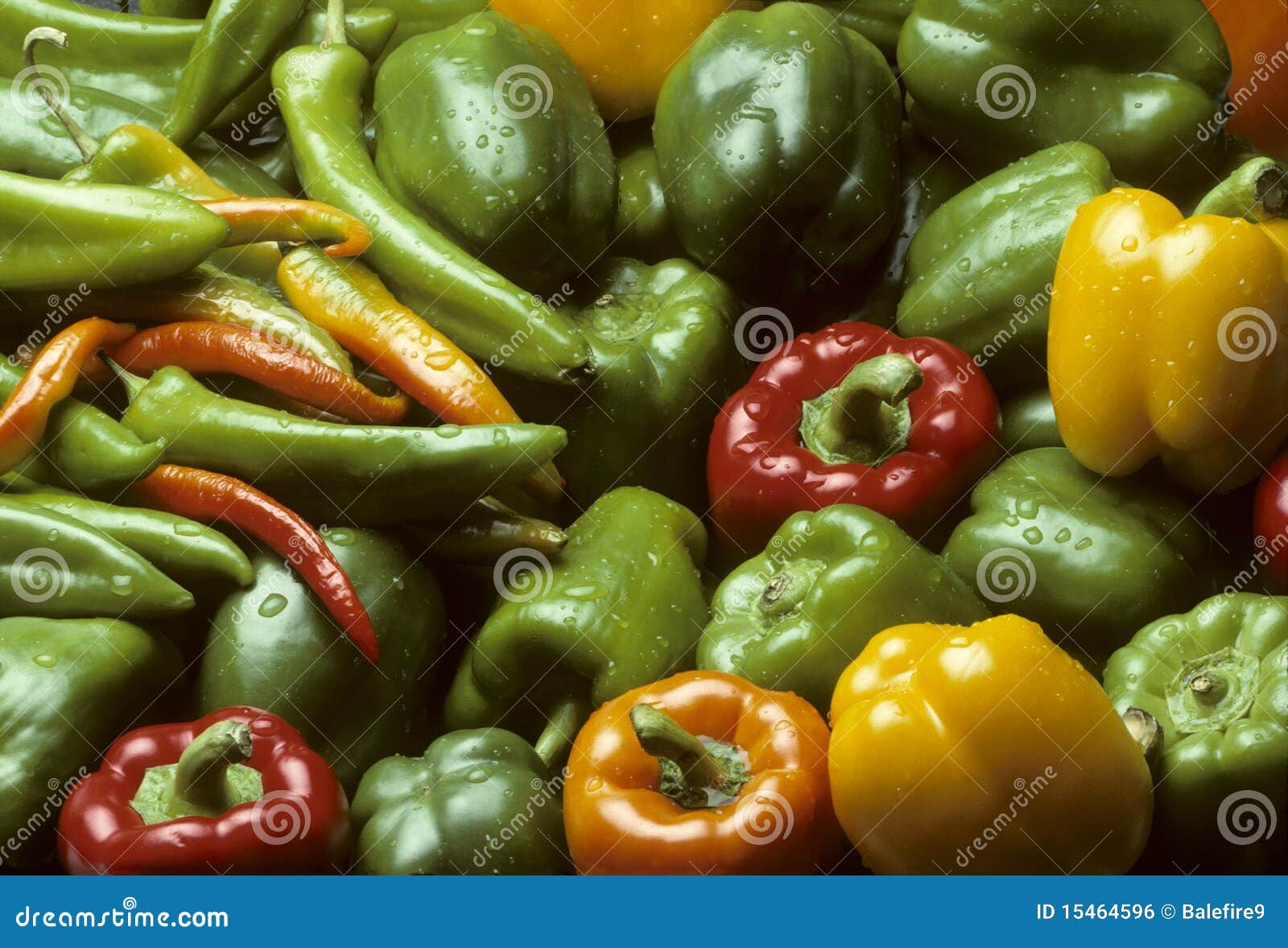 Mixed Multicolored Bell and Chili Peppers Stock Photo - Image of plant ...