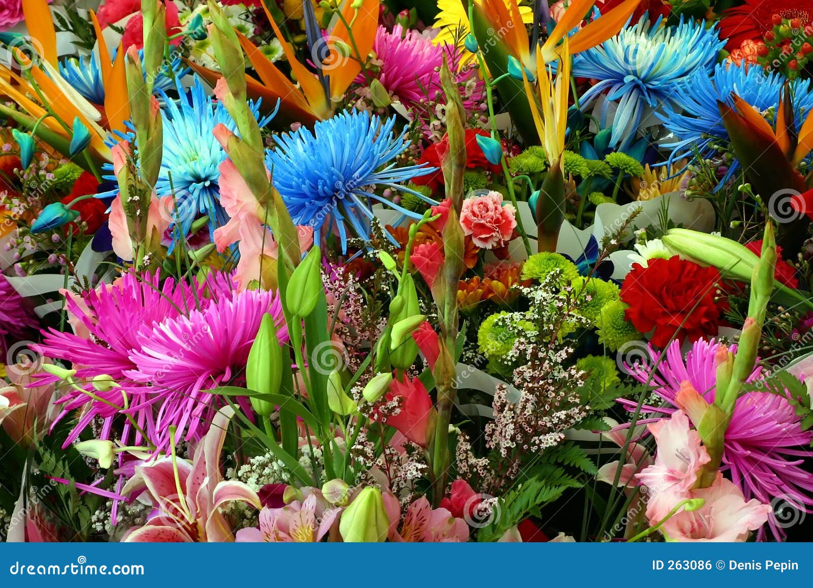 Mixed Multicolored Flowers stock photo. Image of flourish - 263086