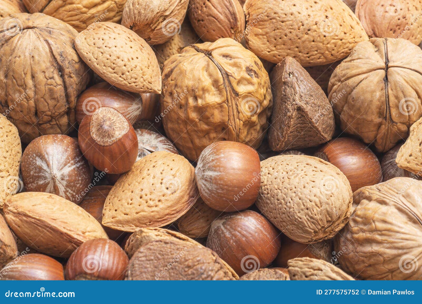 Mixed Nut Basket that Contains Walnuts, Hazelnuts, Almonds, and Brazil ...