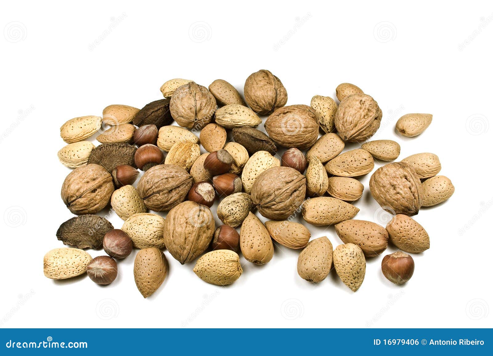 Mixed Nuts stock photo. Image of healthy, shell, hazelnuts - 16979406