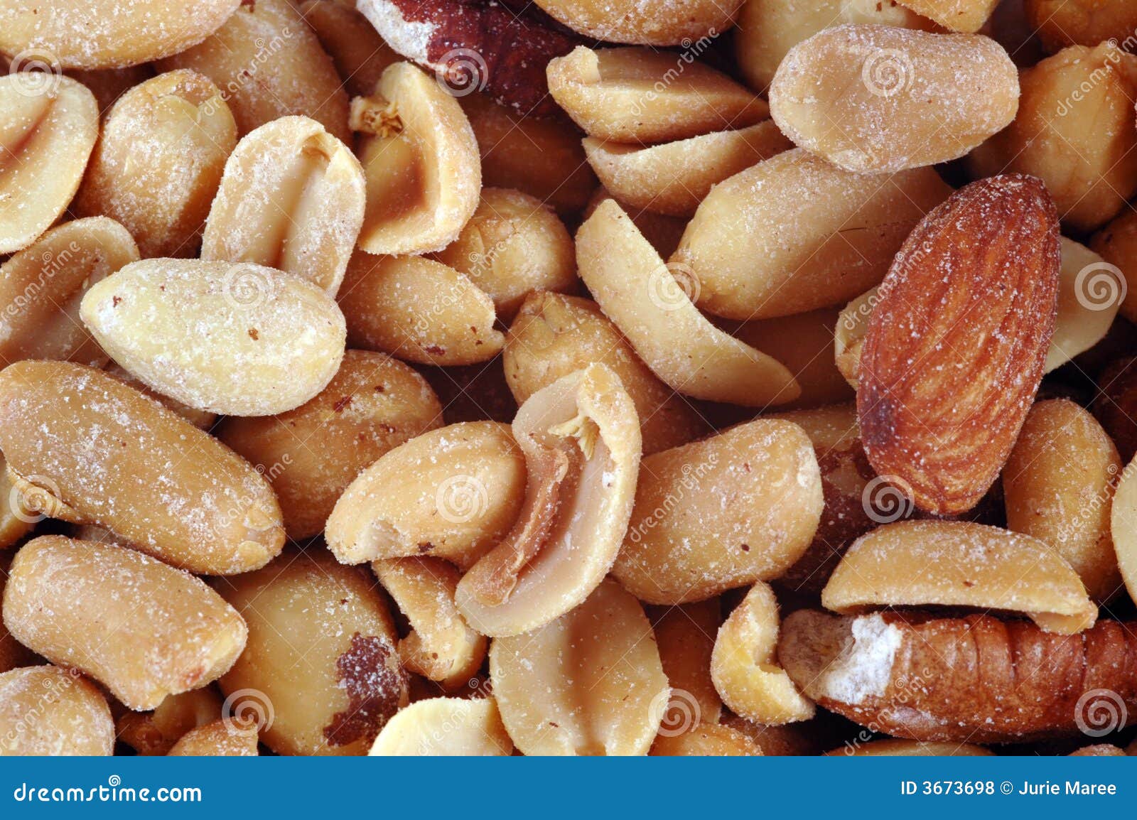 Mixed Nuts Picture. Image: 3673698