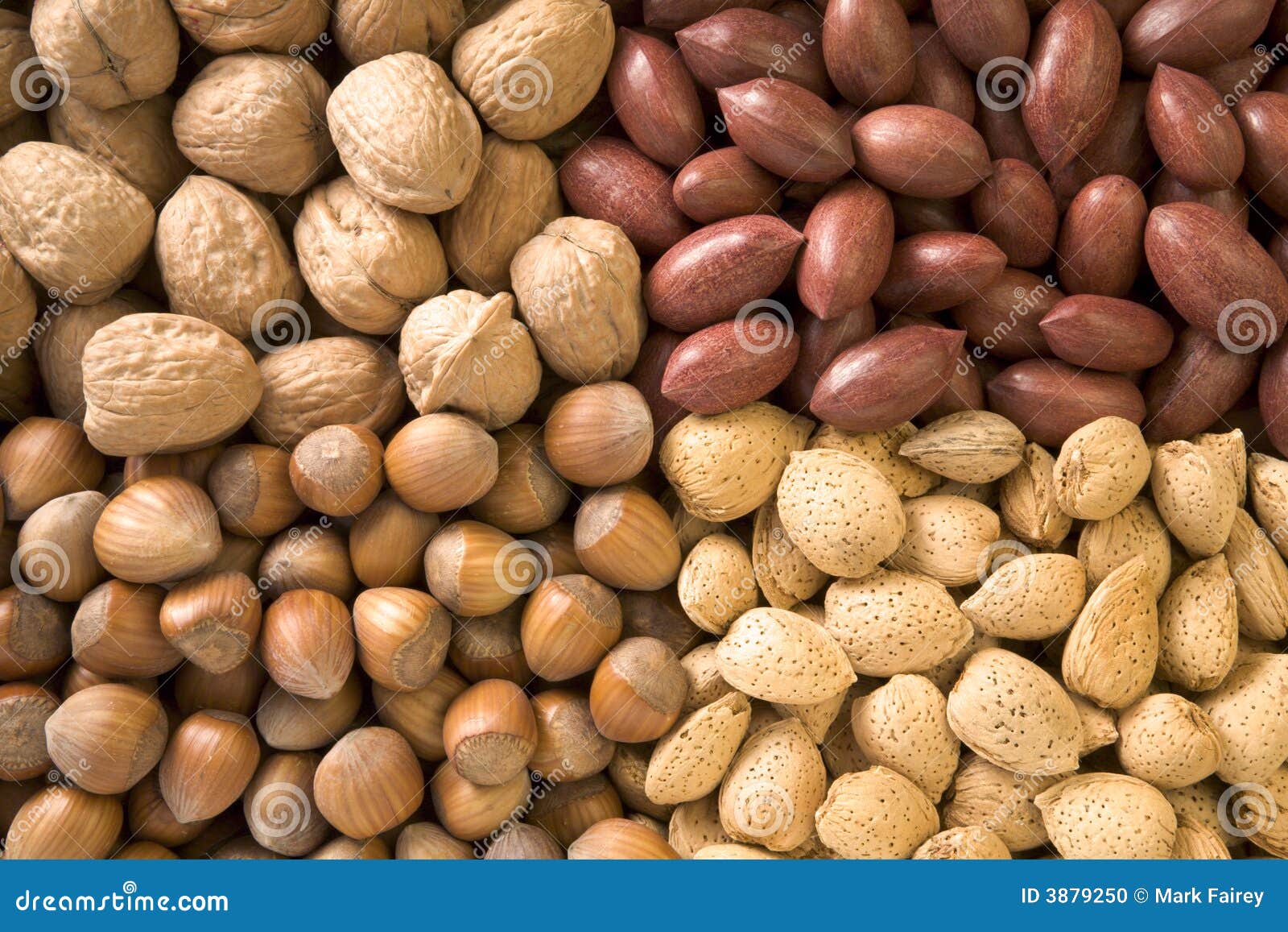 Mixed nuts stock photo. Image of hazlenuts, nutshell, eating - 3879250