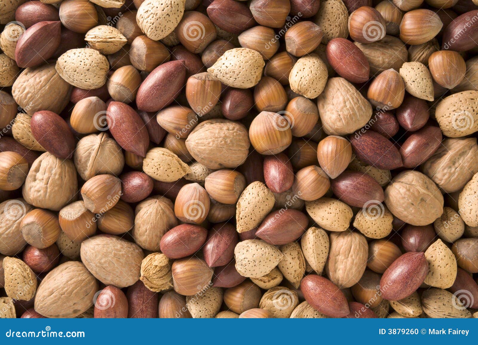 Hazlenuts Stock Photos - Free & Royalty-Free Stock Photos from Dreamstime